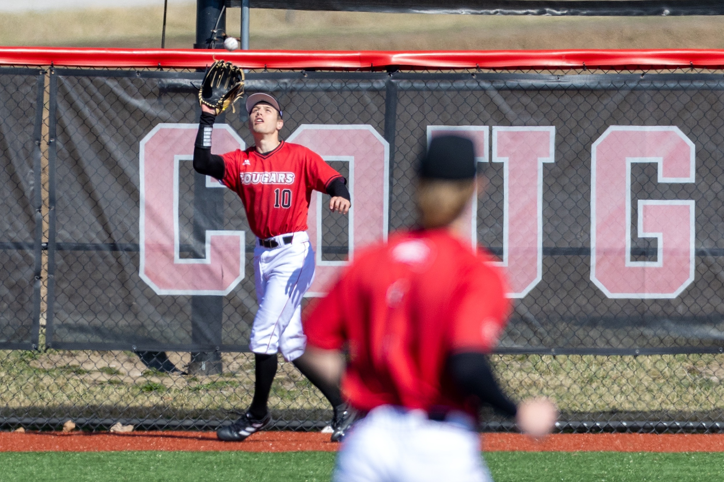 Lucas Spence - 2024 - Baseball - SIUE