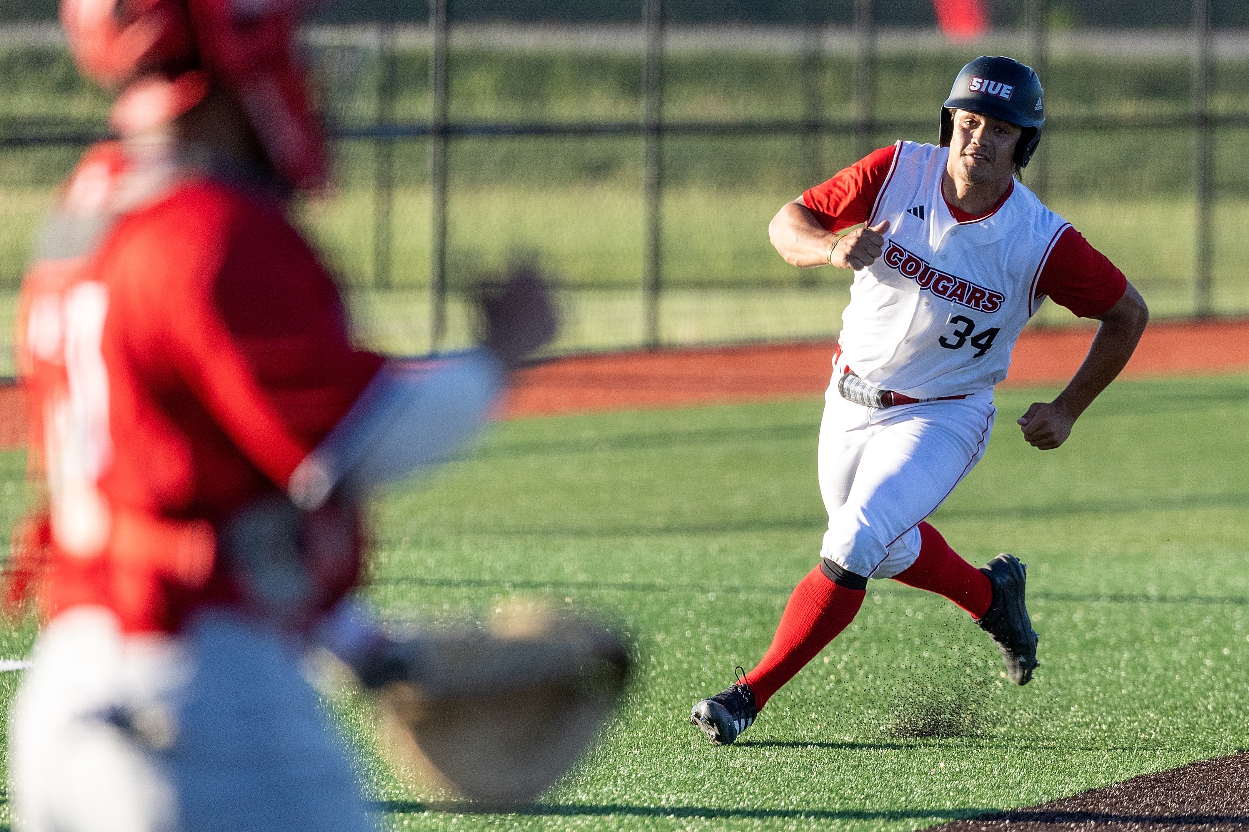 Mateo Casillas - 2024 - Baseball - SIUE