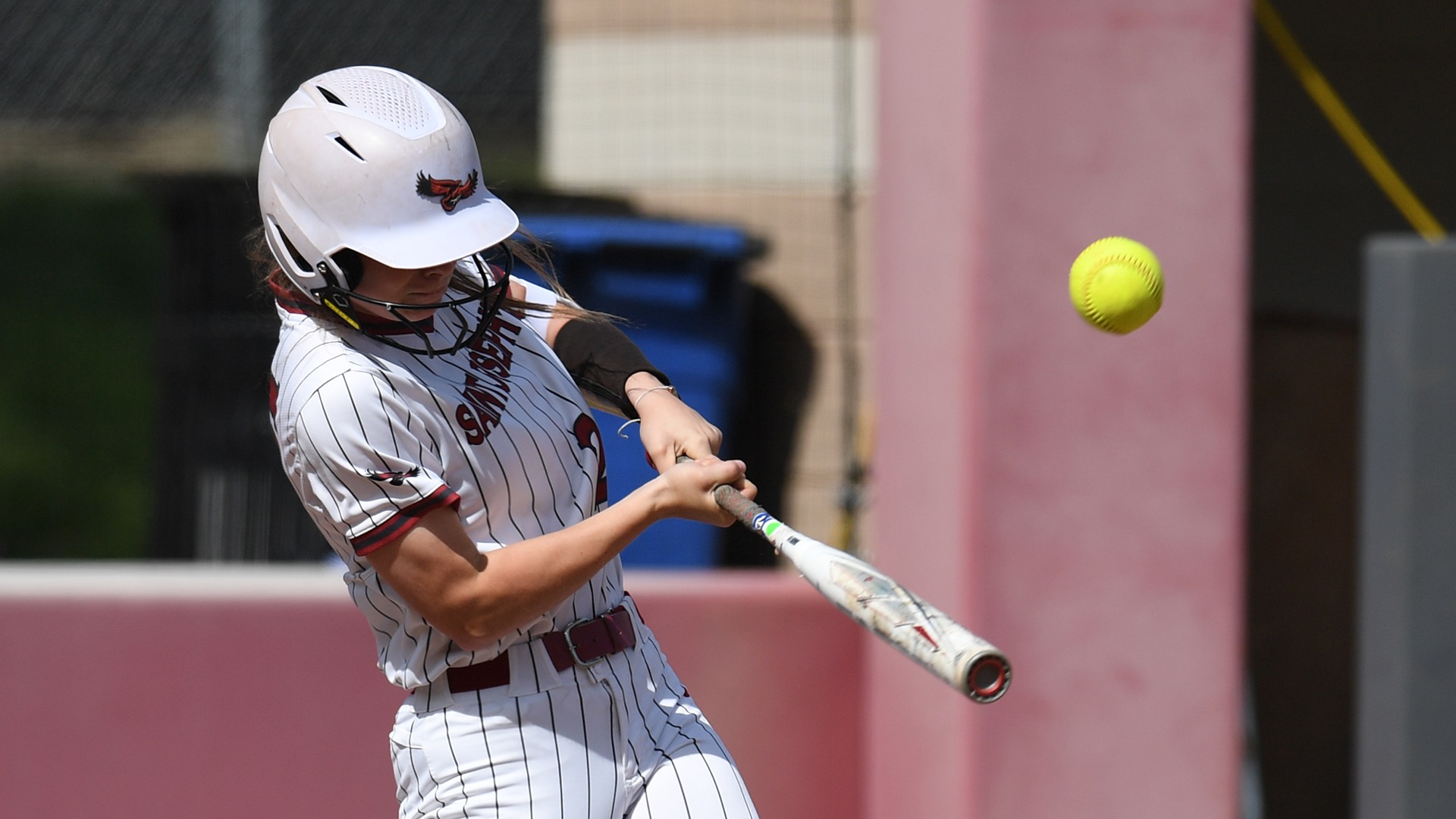 Sinkus Drives In Three Runs As Softball Splits Opening Day Games ...