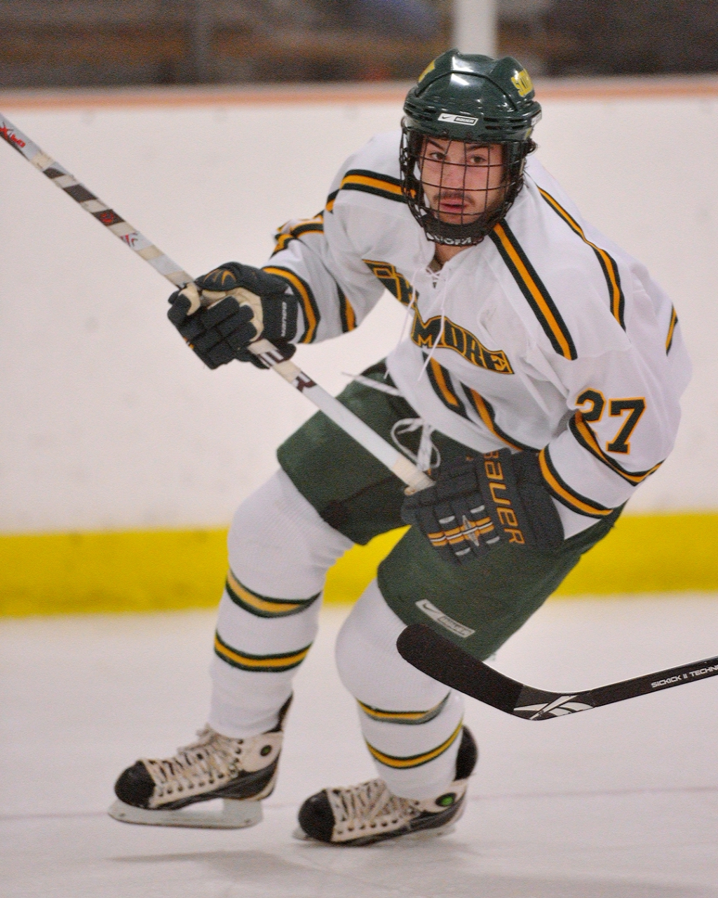 Brian McQuillan - 2013-14 - Men's Hockey - Skidmore College Athletics