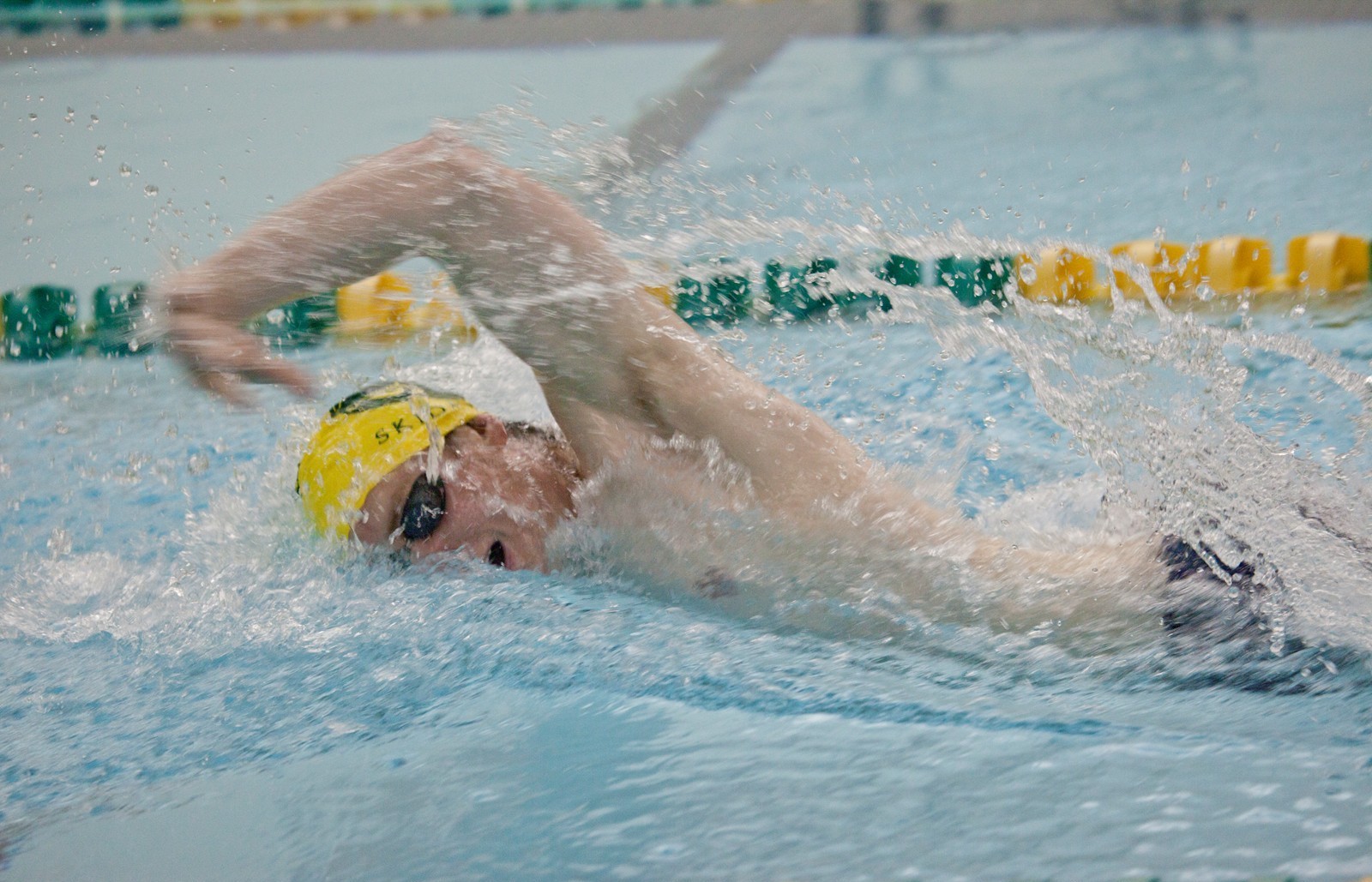 Tim Brodsky - 2013-14 - Men's Swimming & Diving - Skidmore College ...