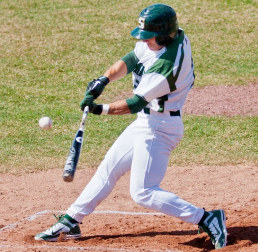 Leejay Pollacchi - 2013 - Baseball - Skidmore College Athletics