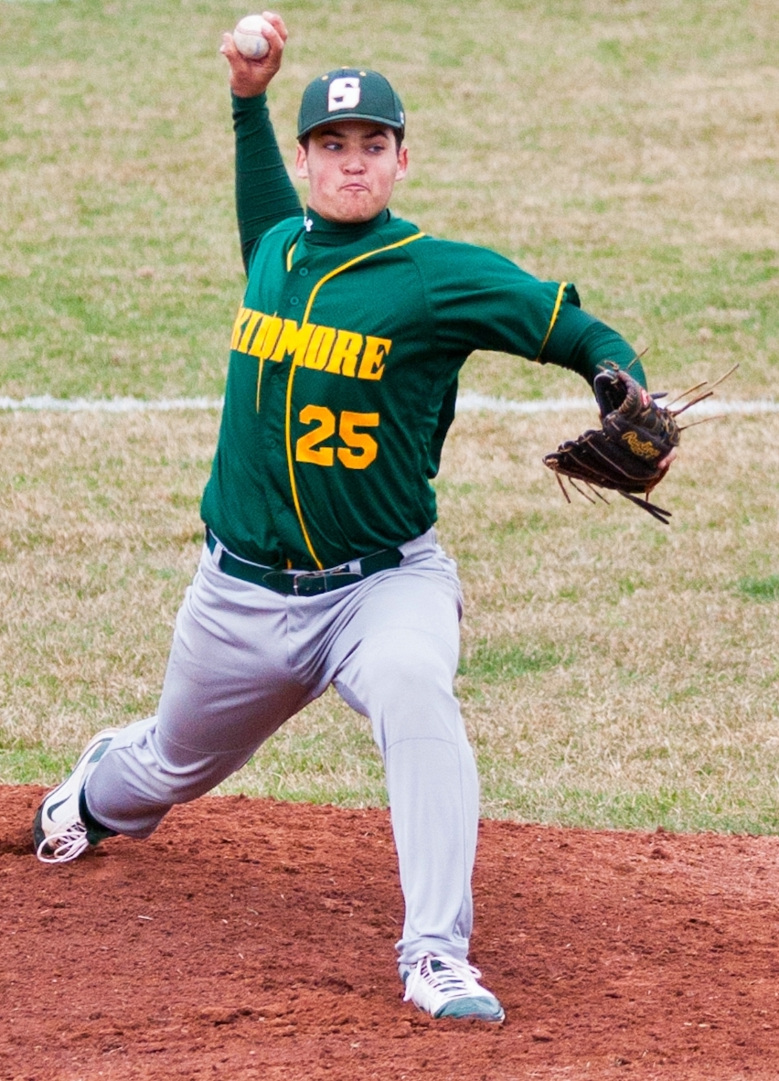Nick Petrella - 2015 - Baseball - Skidmore College Athletics