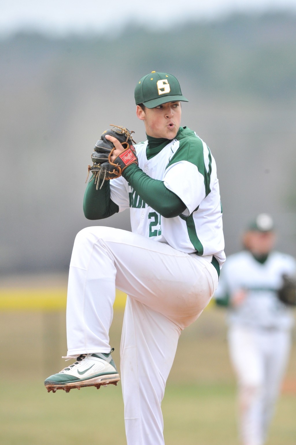 Nick Petrella - 2015 - Baseball - Skidmore College Athletics