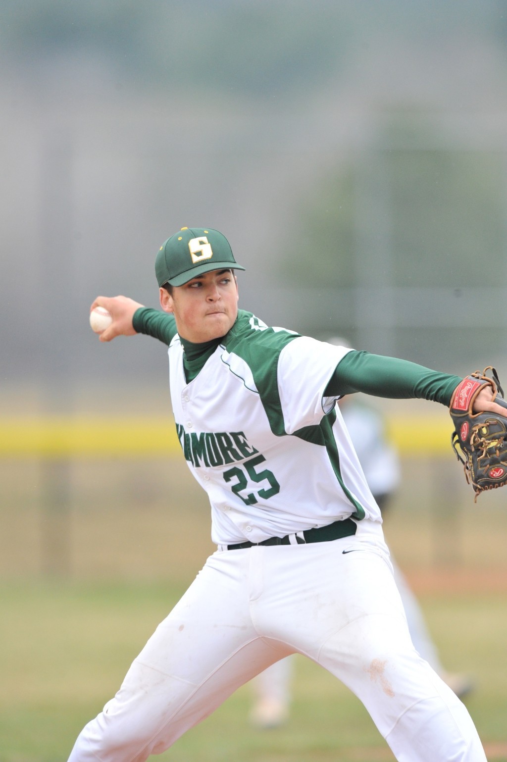 Nick Petrella - 2015 - Baseball - Skidmore College Athletics