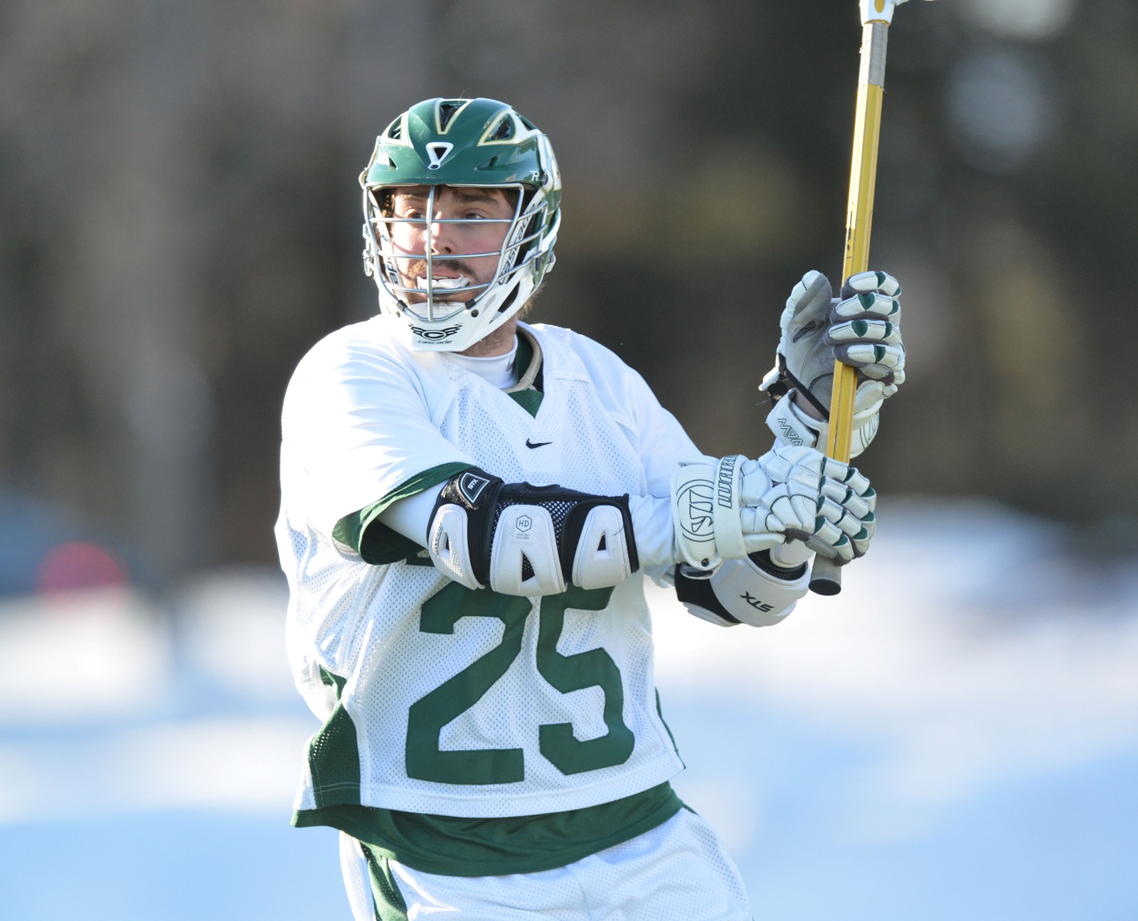 Jack Livecchi - 2015 - Men's Lacrosse - Skidmore College Athletics