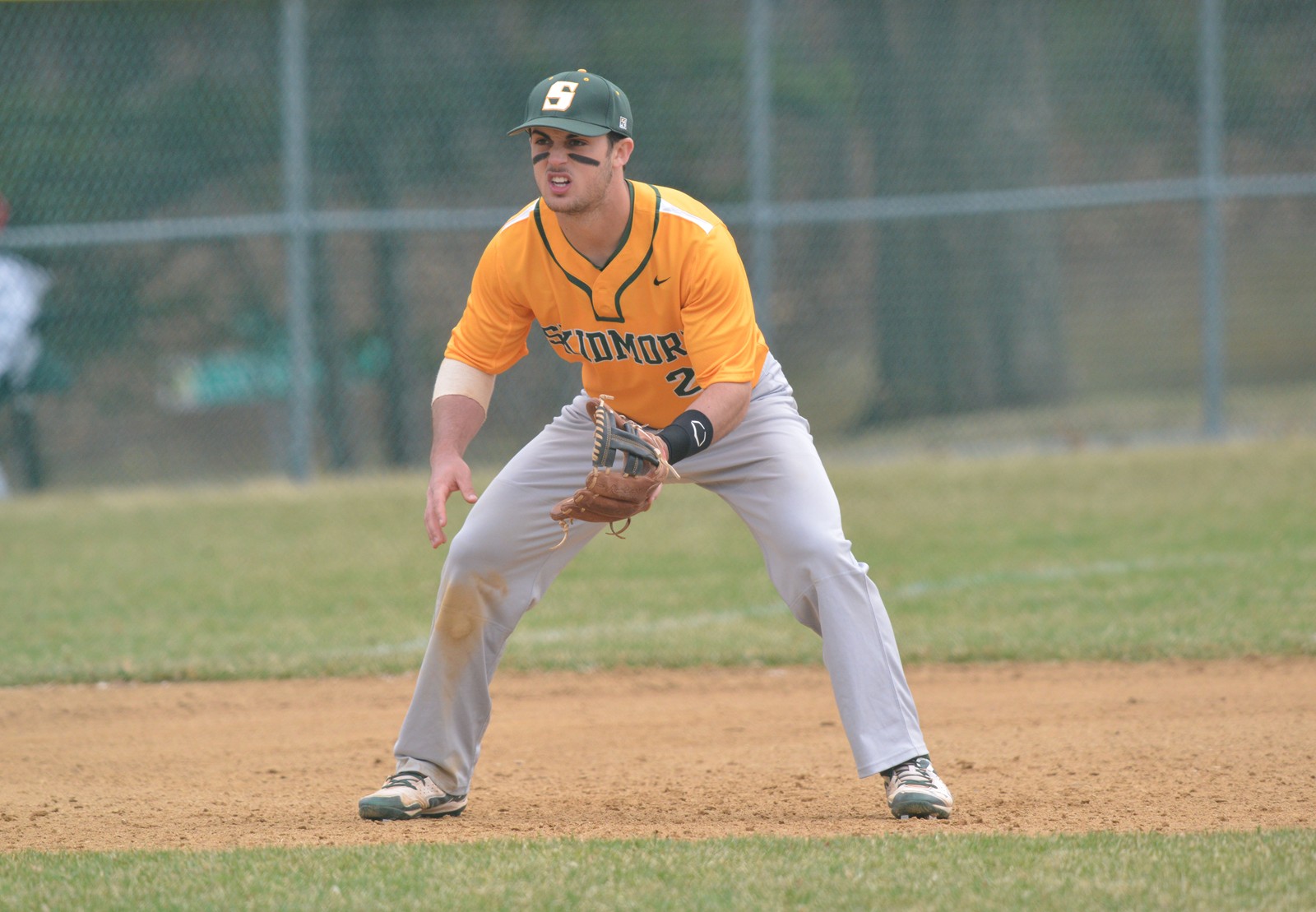 Mat Marino - 2017 - Baseball - Skidmore College Athletics