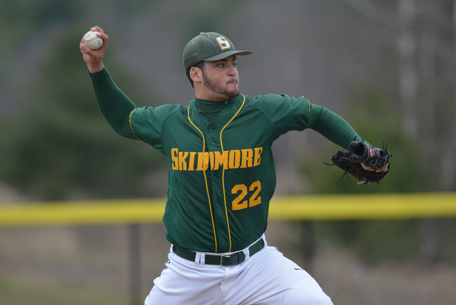 Nick Petrella - 2015 - Baseball - Skidmore College Athletics