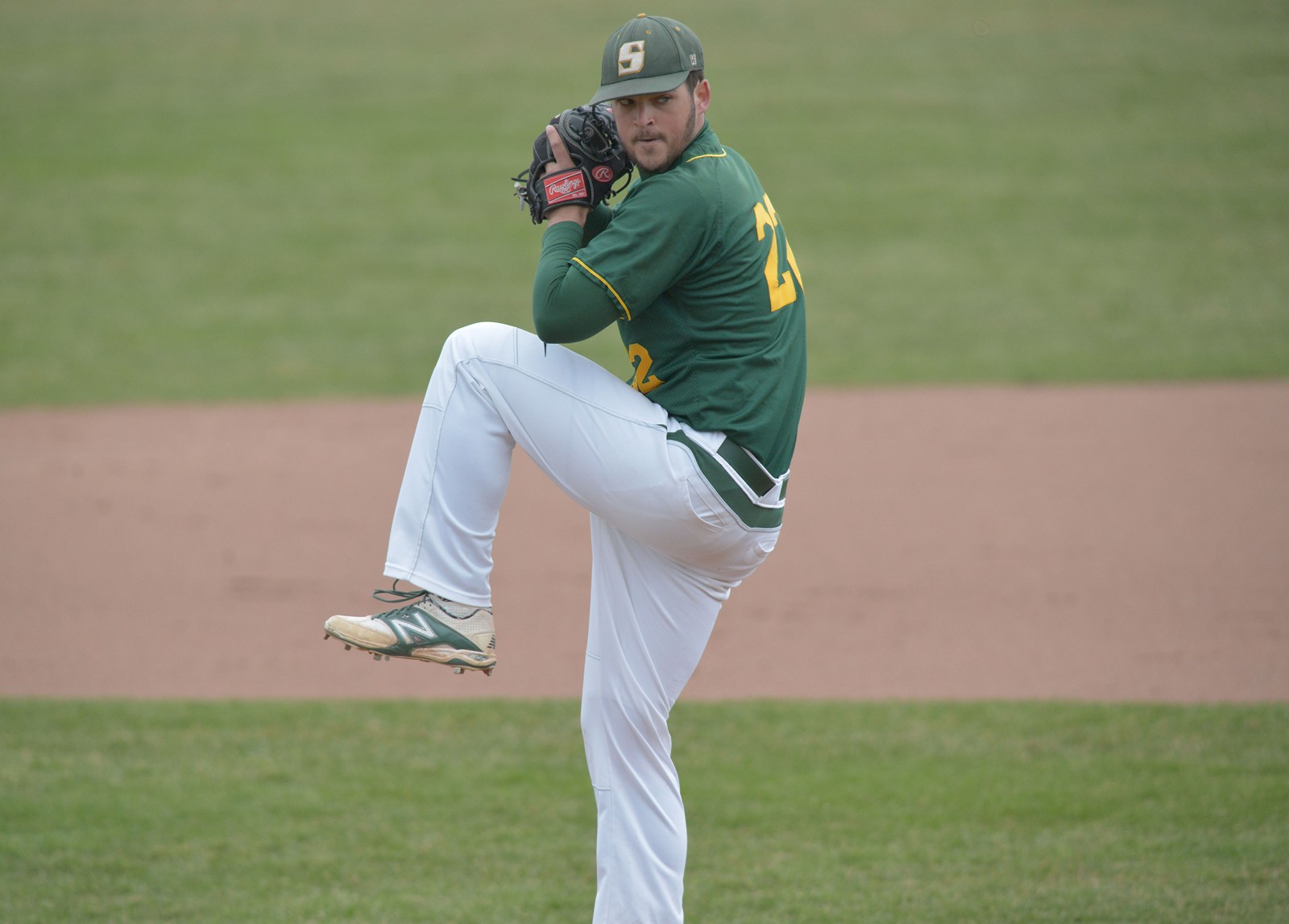 Nick Petrella - 2015 - Baseball - Skidmore College Athletics