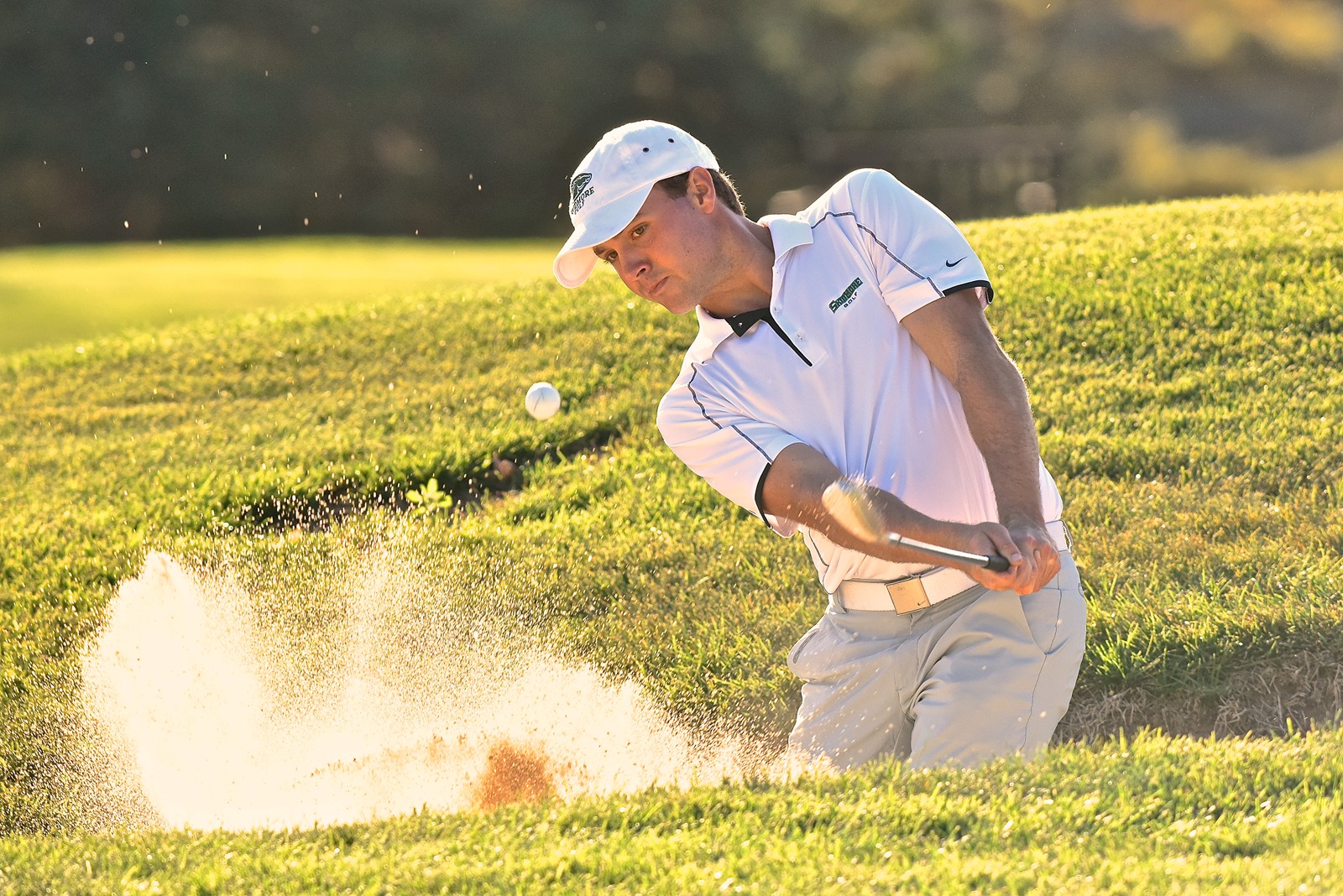 Zach Grossman - 2014-15 - Men's Golf - Skidmore College Athletics