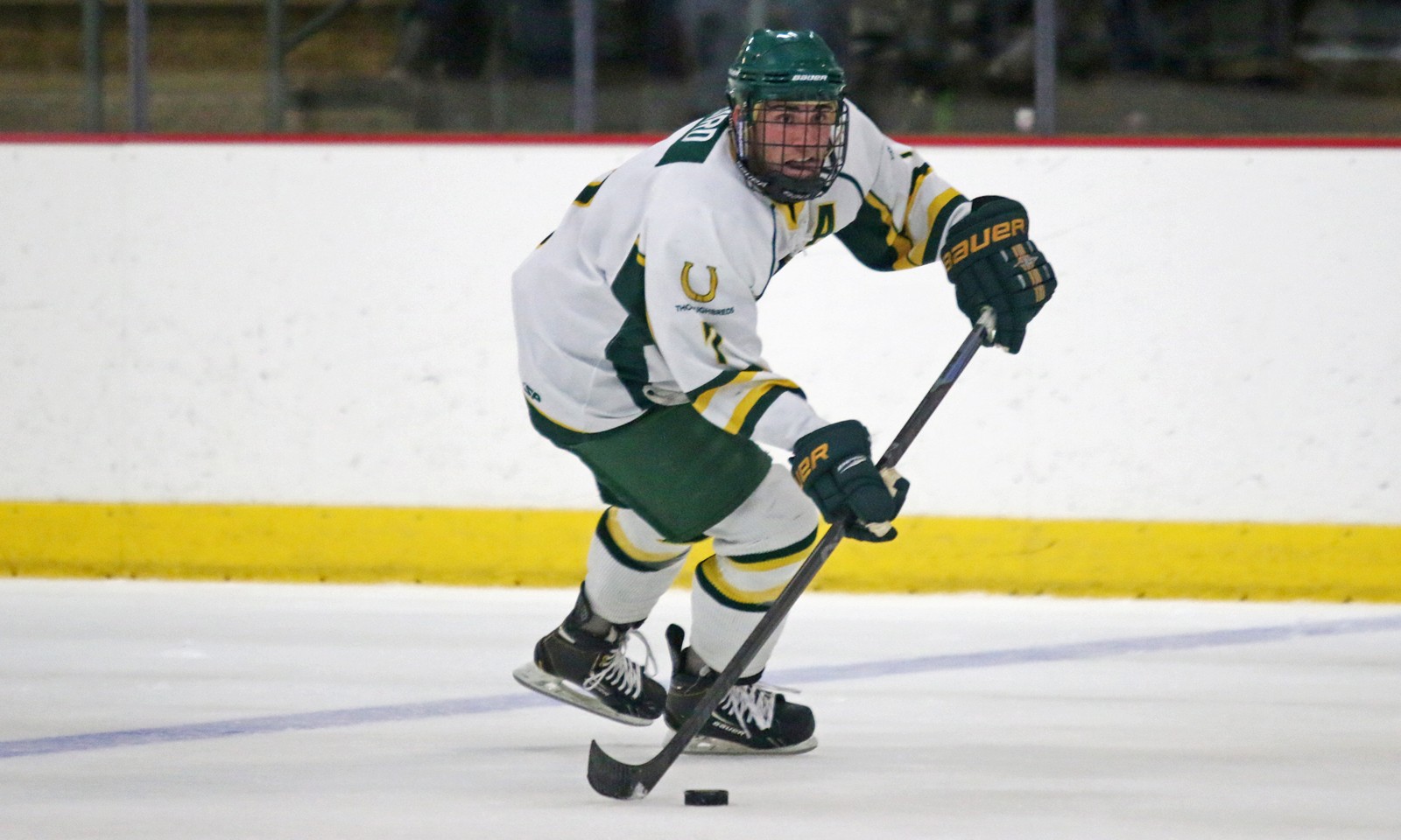Anthony Bird - 2016-17 - Men's Hockey - Skidmore College Athletics
