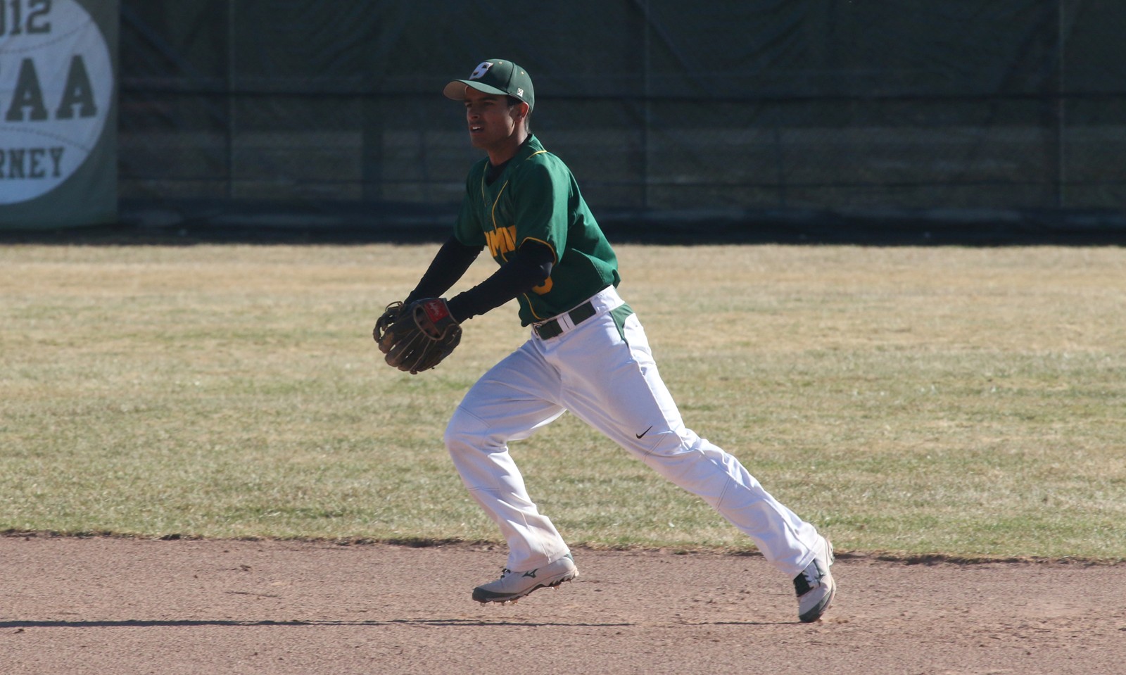Shankar Mani - 2017 - Baseball - Skidmore College Athletics