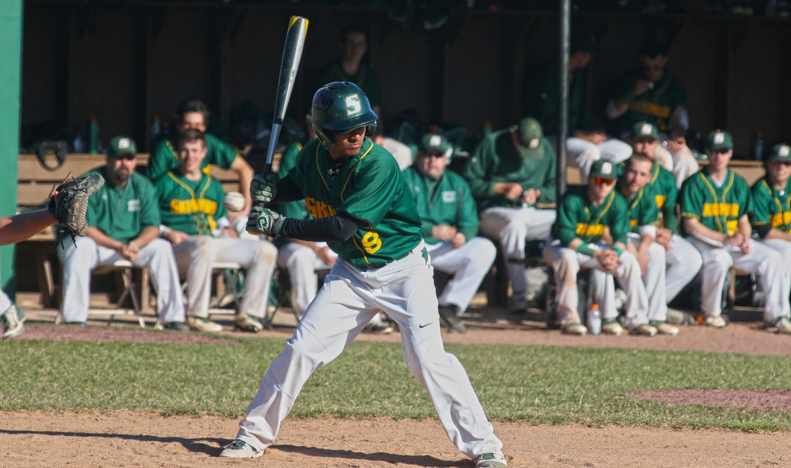 Shankar Mani - 2017 - Baseball - Skidmore College Athletics
