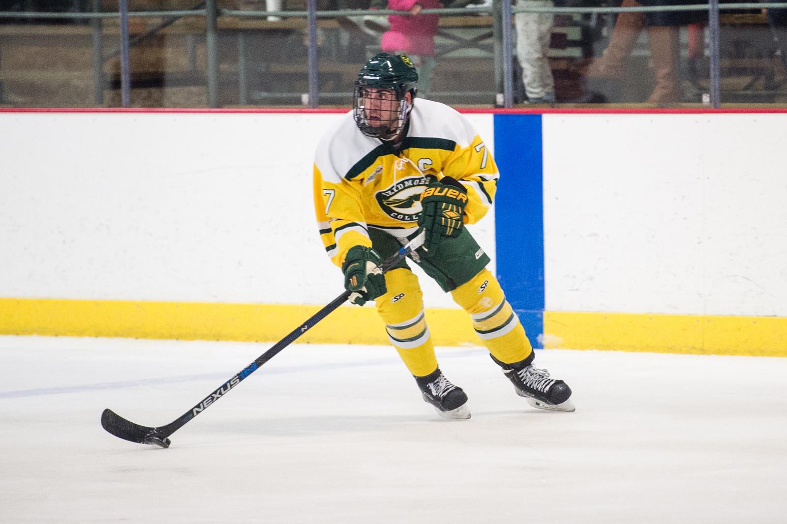 Anthony Bird - 2016-17 - Men's Hockey - Skidmore College Athletics