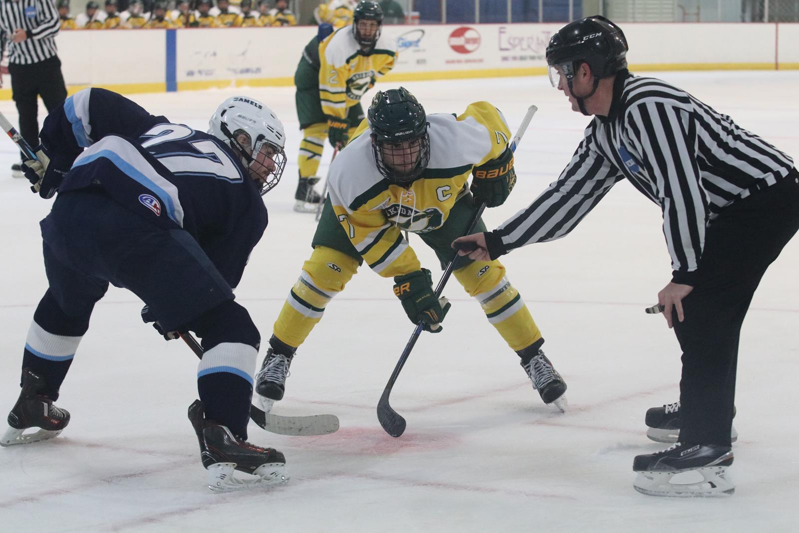 Anthony Bird - 2016-17 - Men's Hockey - Skidmore College Athletics