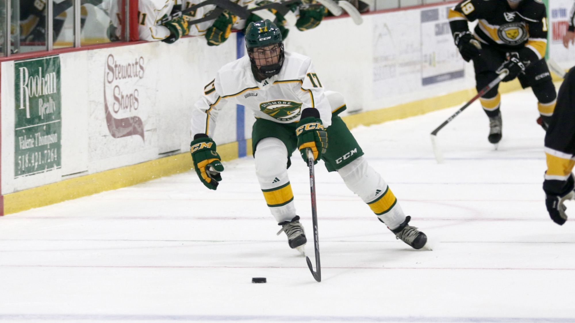 Nick Cozzi - 2023-24 - Men's Hockey - Skidmore College Athletics