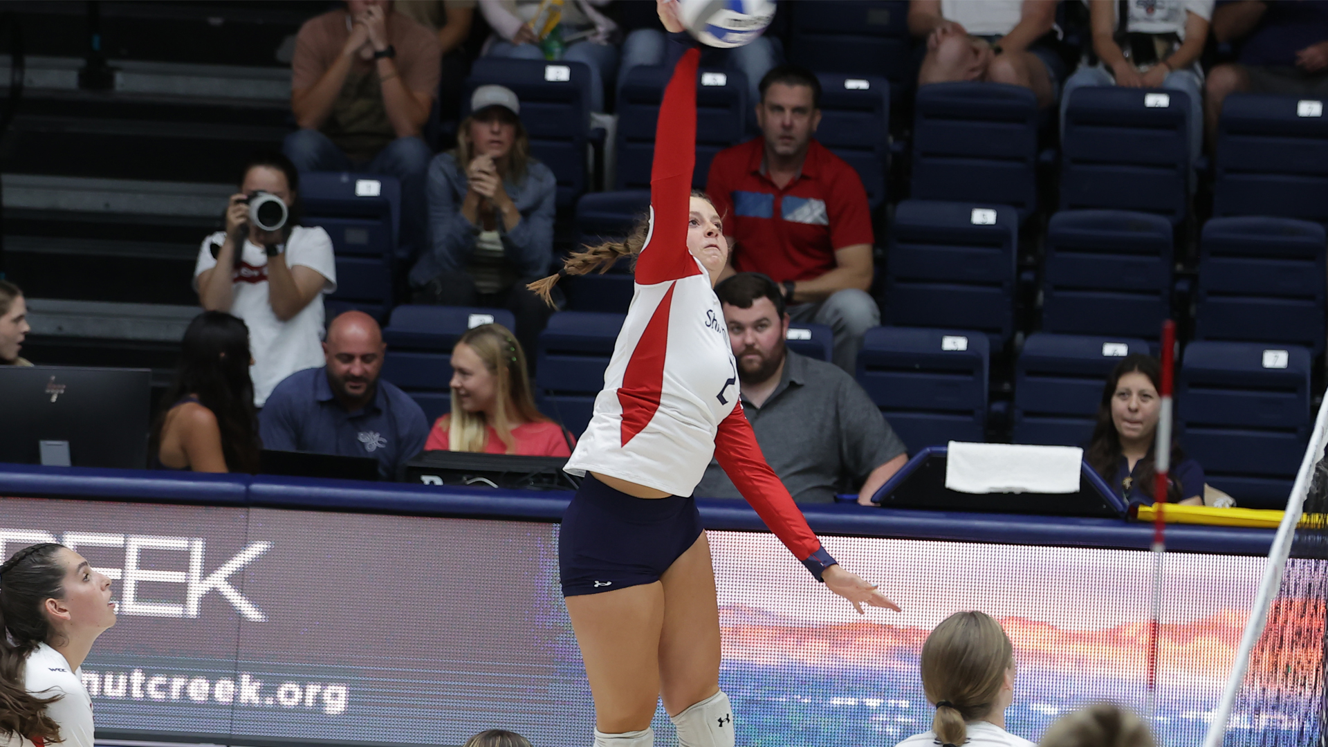Ashley Reed - Women's Volleyball - SMC California Athletics