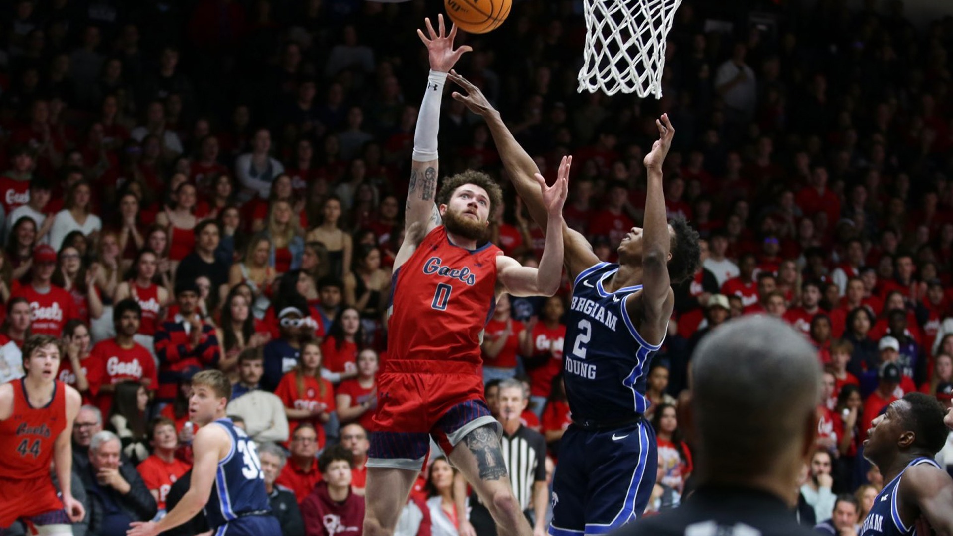 Logan Johnson - Men's Basketball - SMC California Athletics