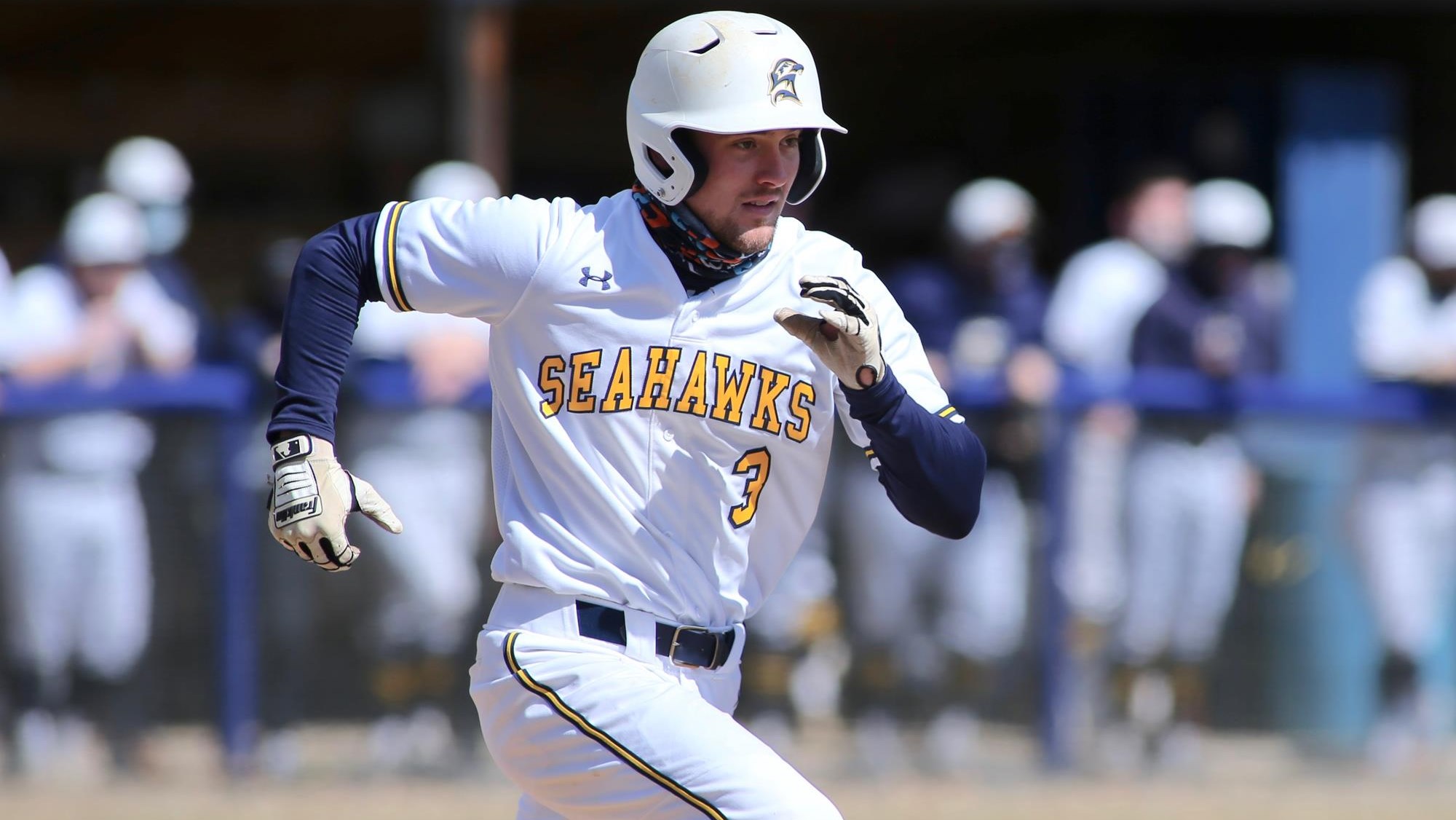 Jake Wood - 2021 - Baseball - St. Mary's College of Maryland