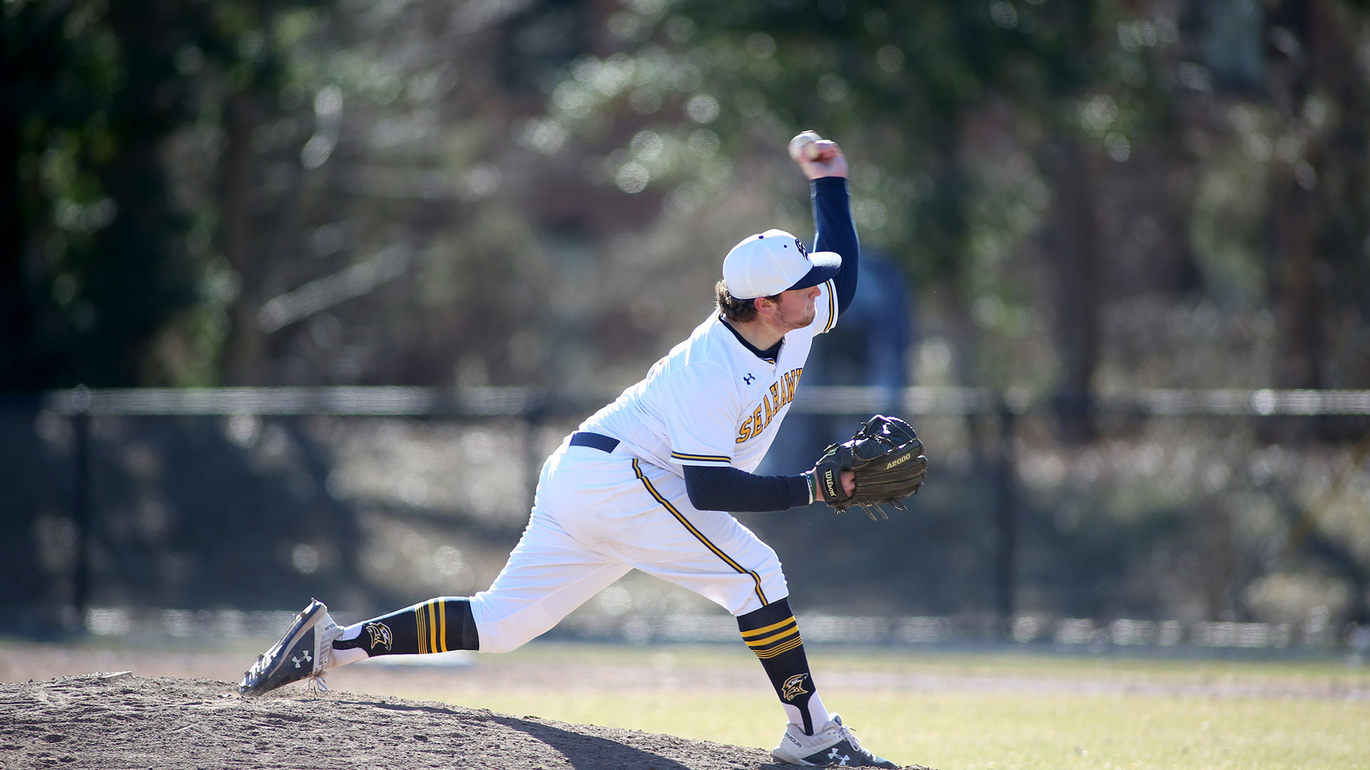 Jake Wills - 2022 - Baseball - St. Mary's College of Maryland