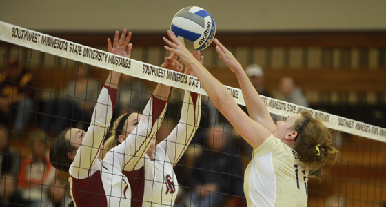 Cara Carson - Volleyball - SMSU Athletics
