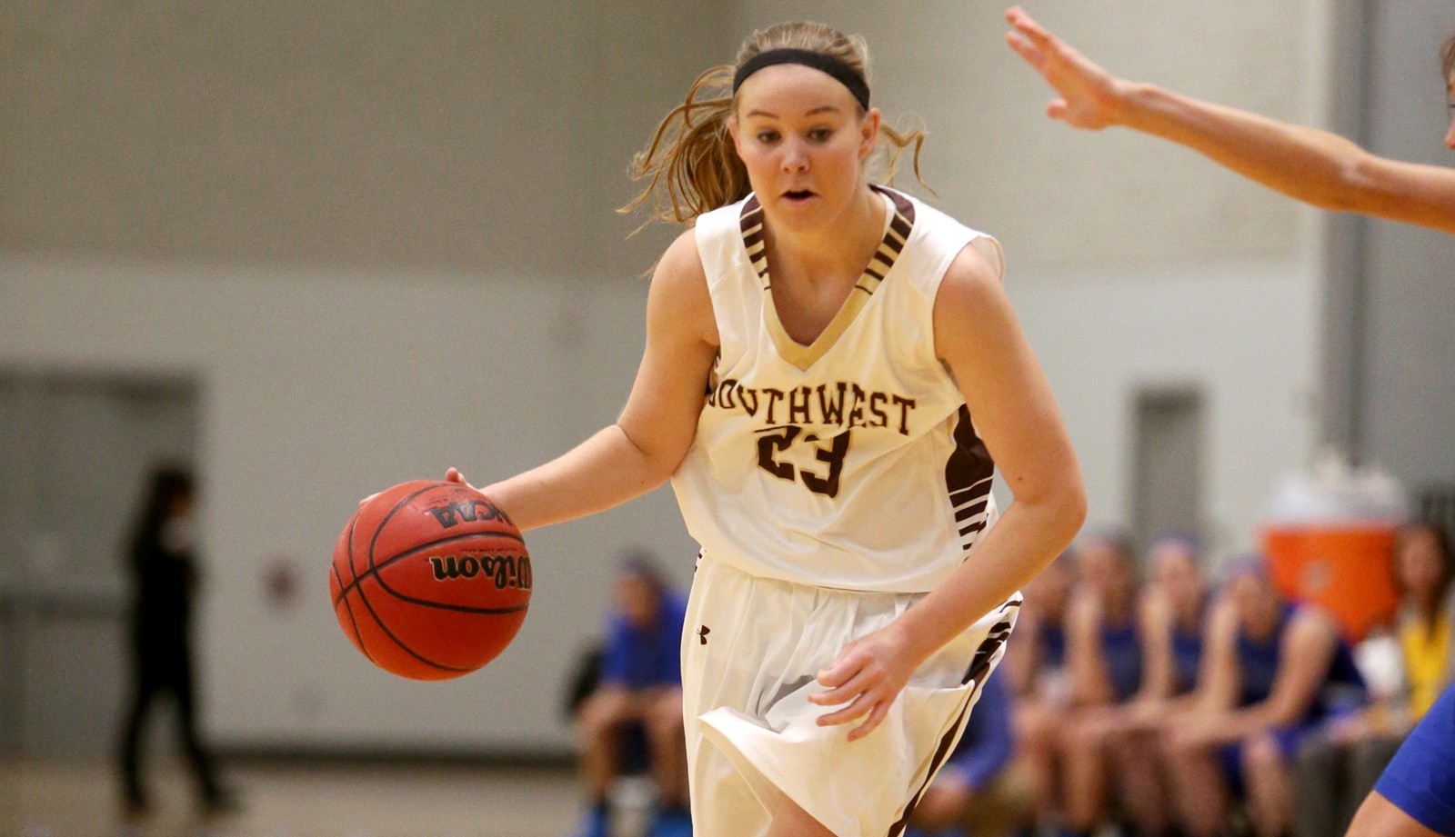 Paige Hendrickson - Women's Basketball - SMSU Athletics