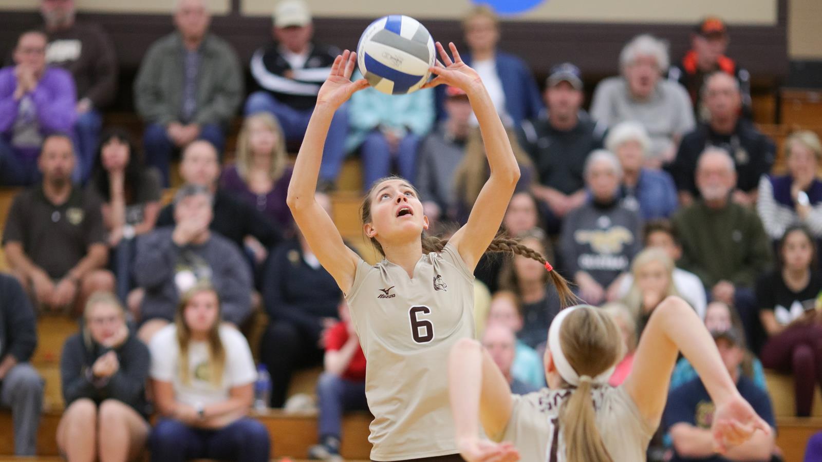 Megan Larson - Volleyball - SMSU Athletics