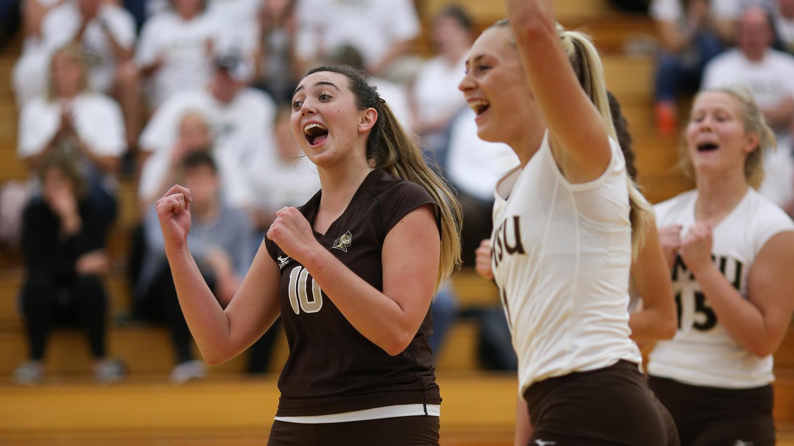Dani Potter - Volleyball - SMSU Athletics