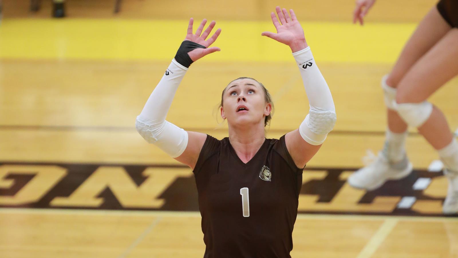 Taylor Reiss - Volleyball - SMSU Athletics