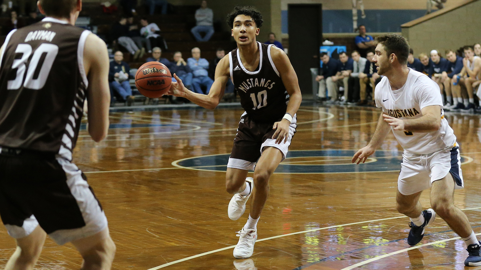 Andy Stafford - Men's Basketball - SMSU Athletics