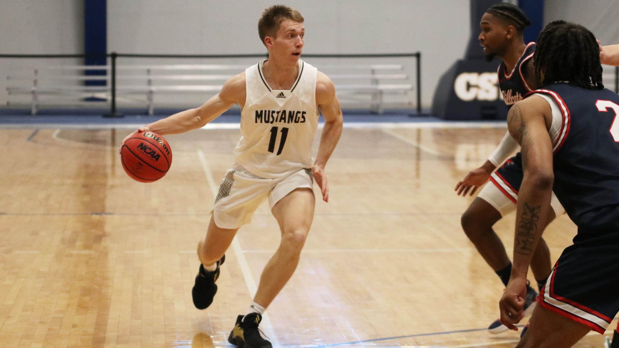 Sam Schwartz - Men's Basketball - SMSU Athletics