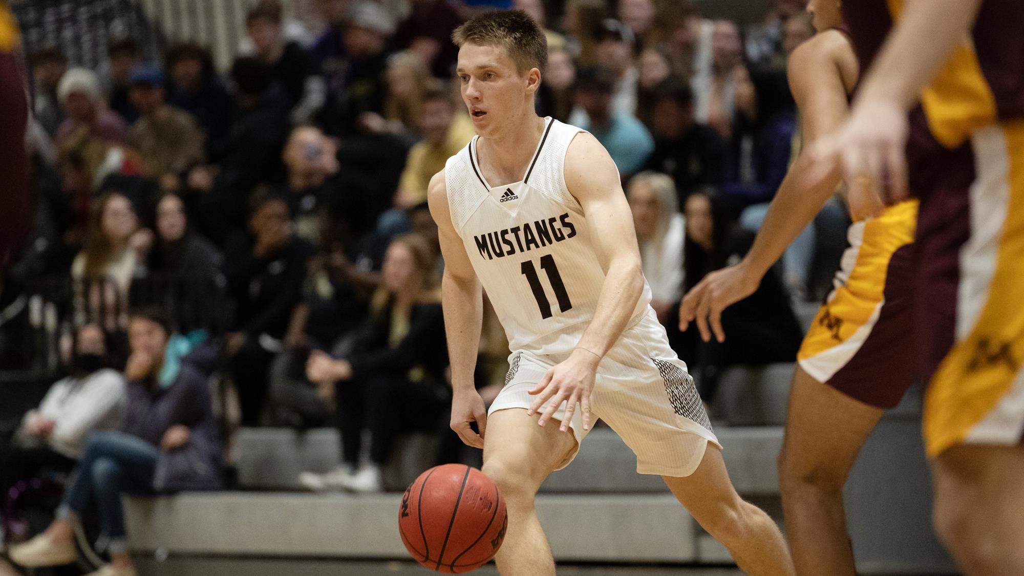 Sam Schwartz - Men's Basketball - SMSU Athletics