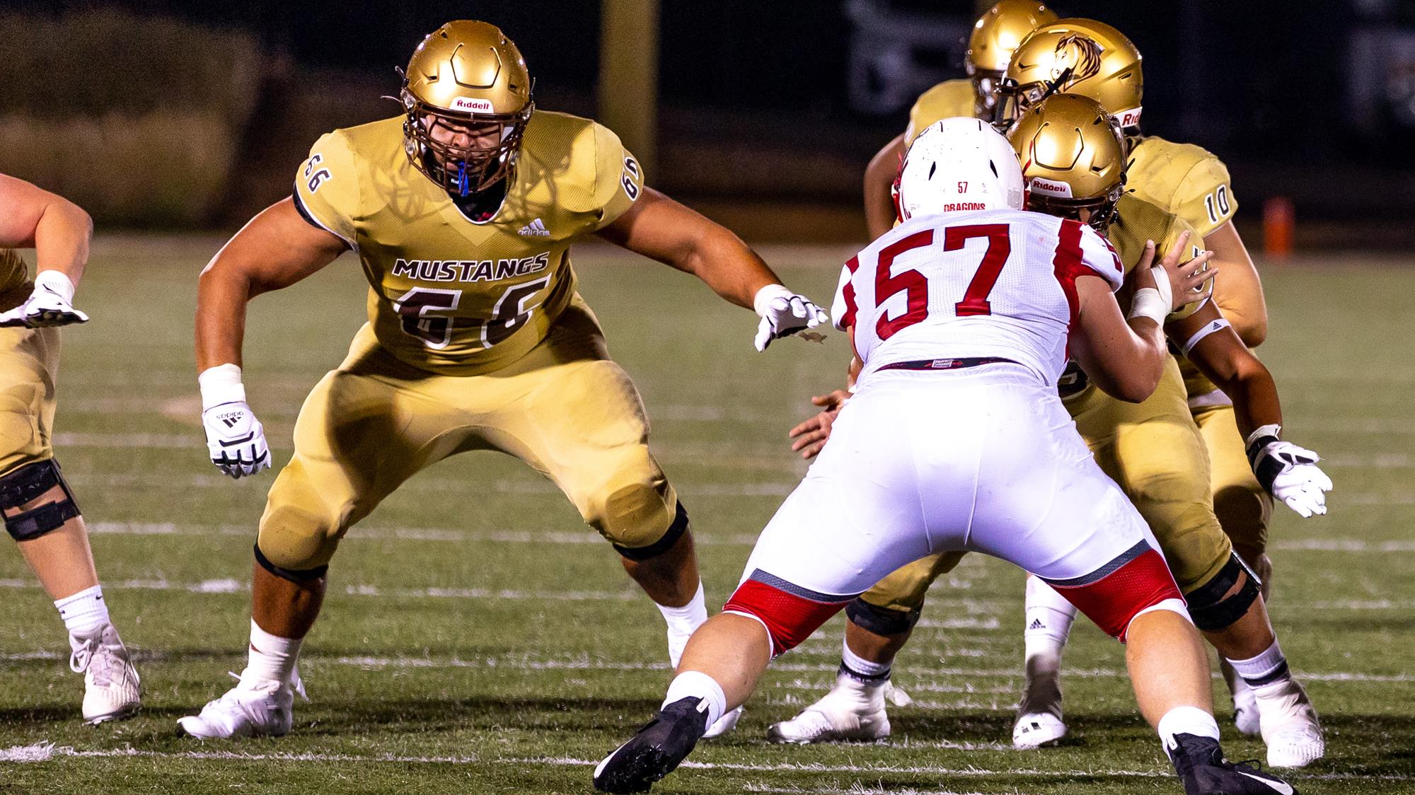 Dylan Lauer - Football - SMSU Athletics