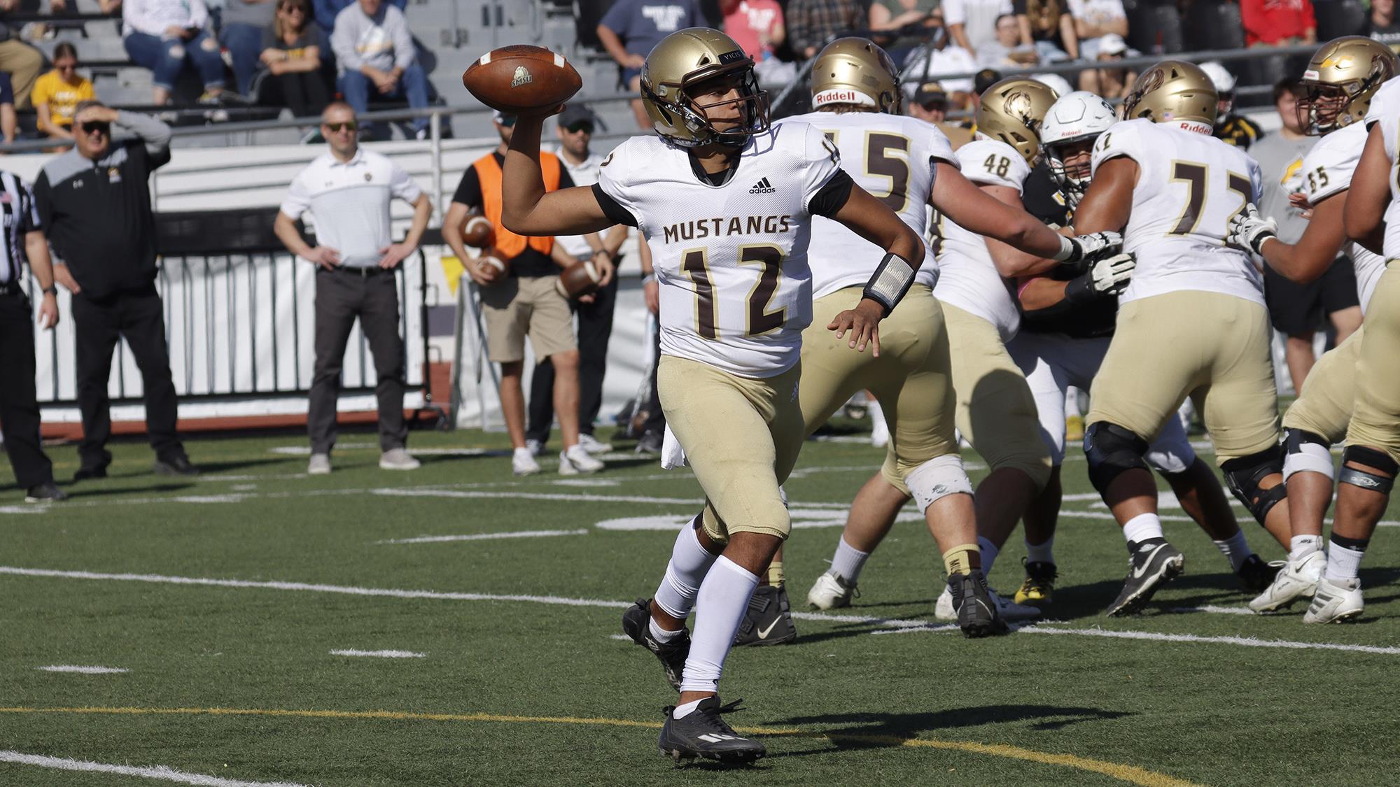Marcus Martin - Football - SMSU Athletics