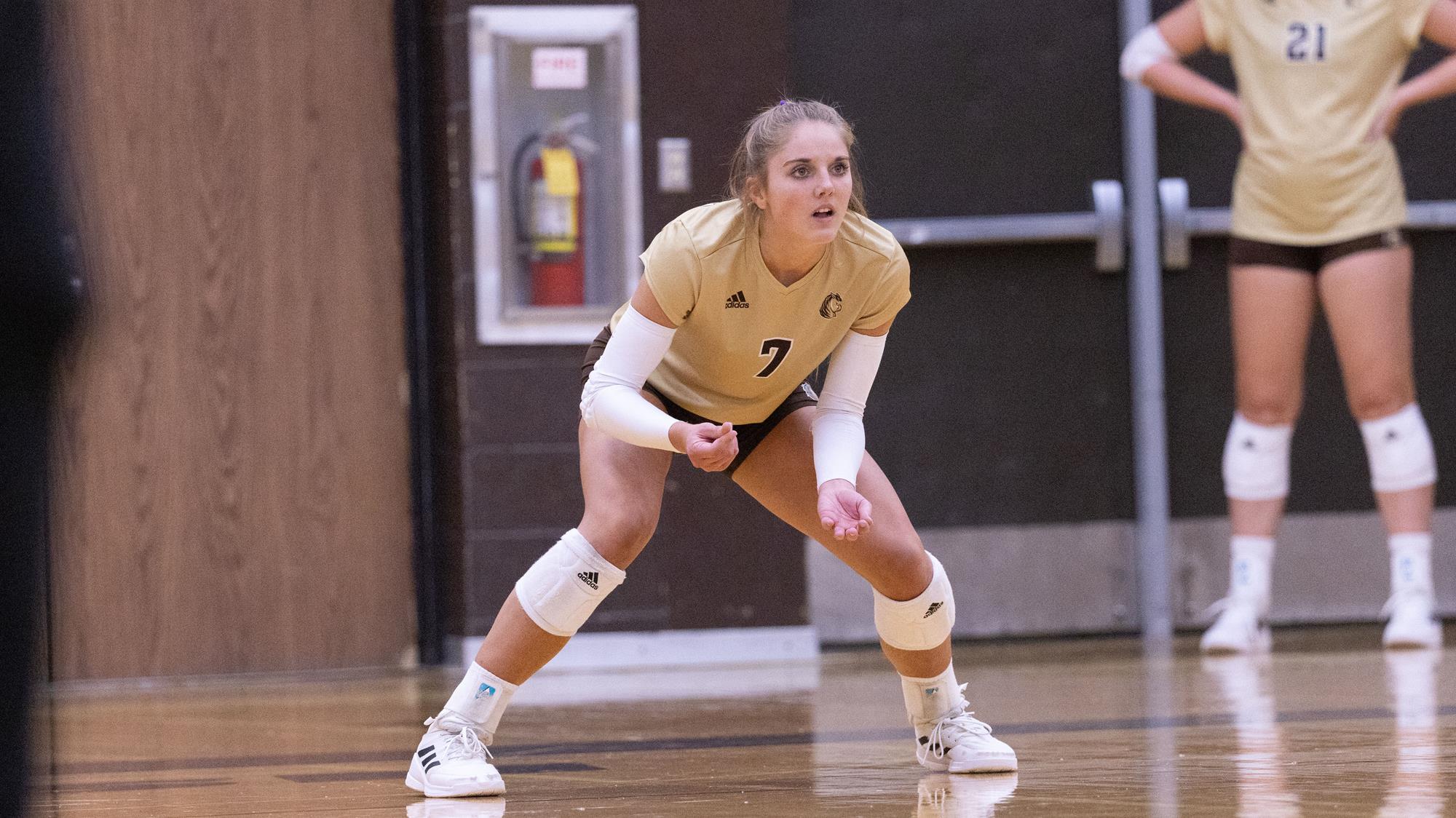 Natalee Rolbiecki - Volleyball - SMSU Athletics