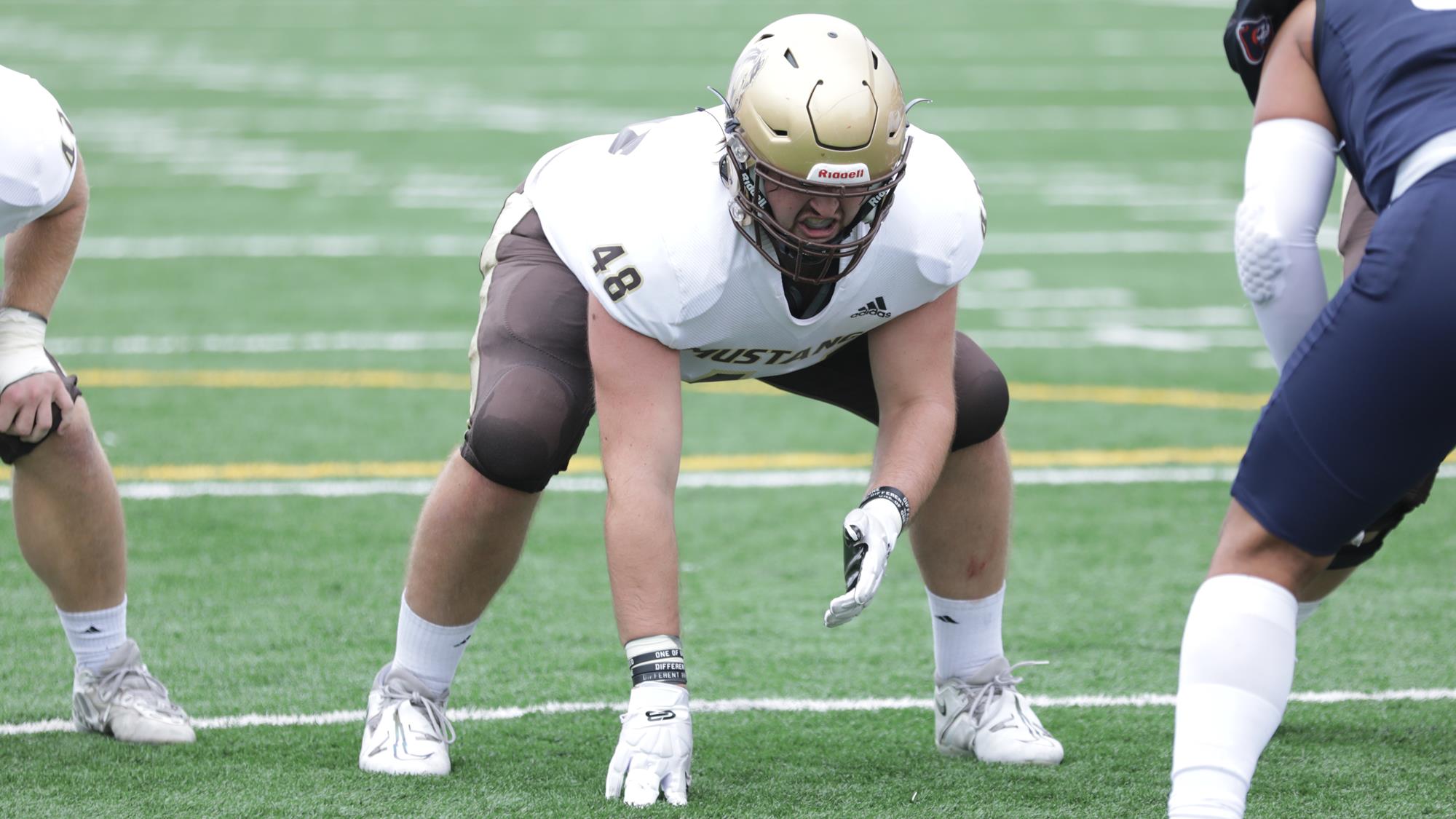 Aiden Ferguson - Football - SMSU Athletics