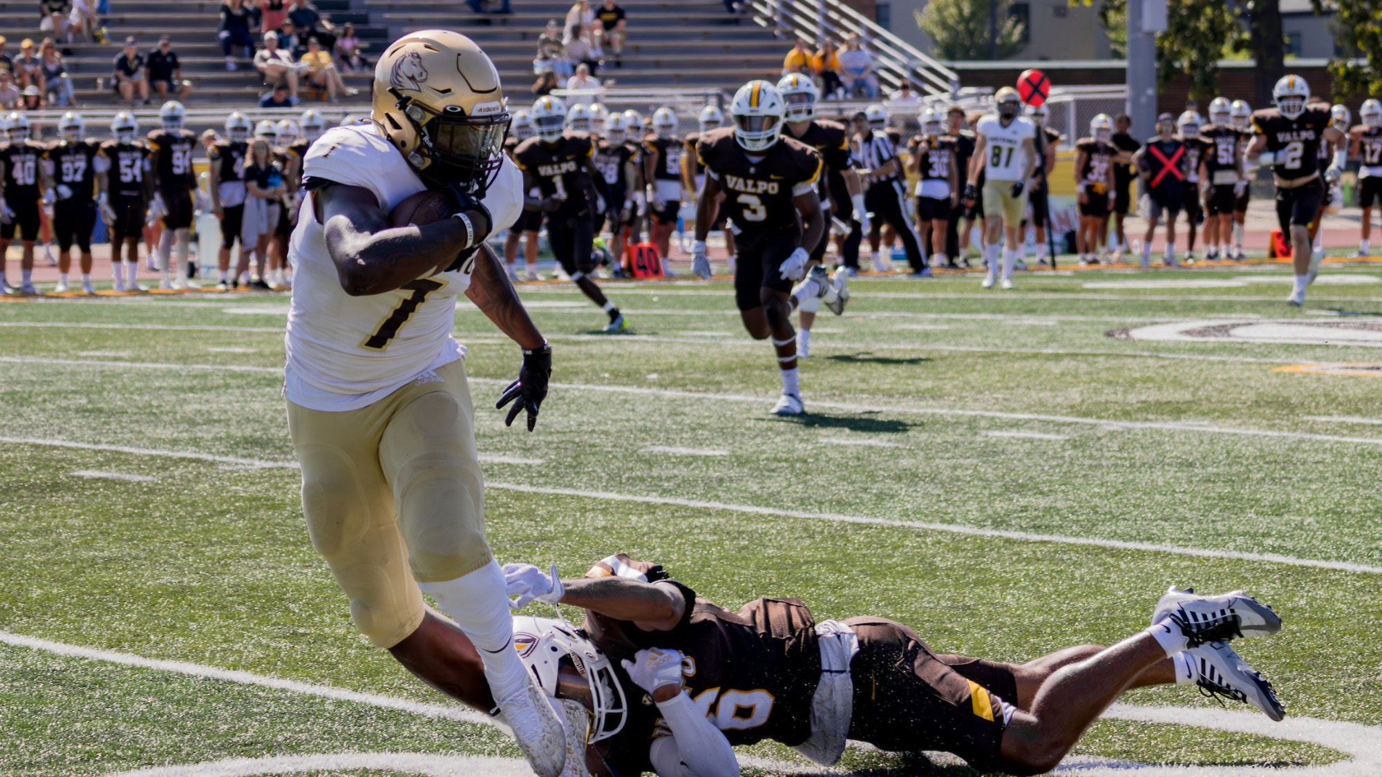 Rashaan Palmer - Football - SMSU Athletics