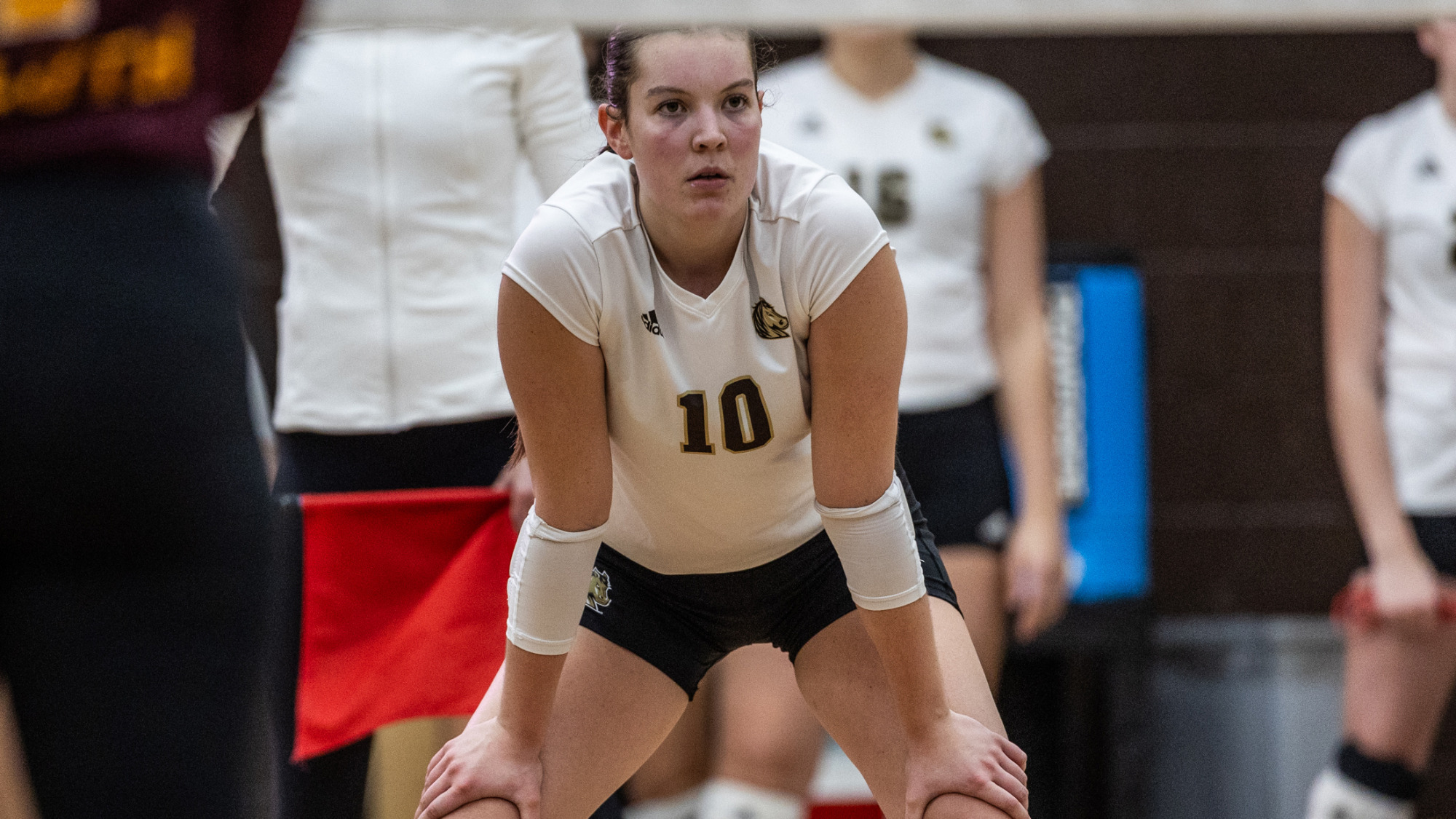 Leah Jones - Volleyball - SMSU Athletics