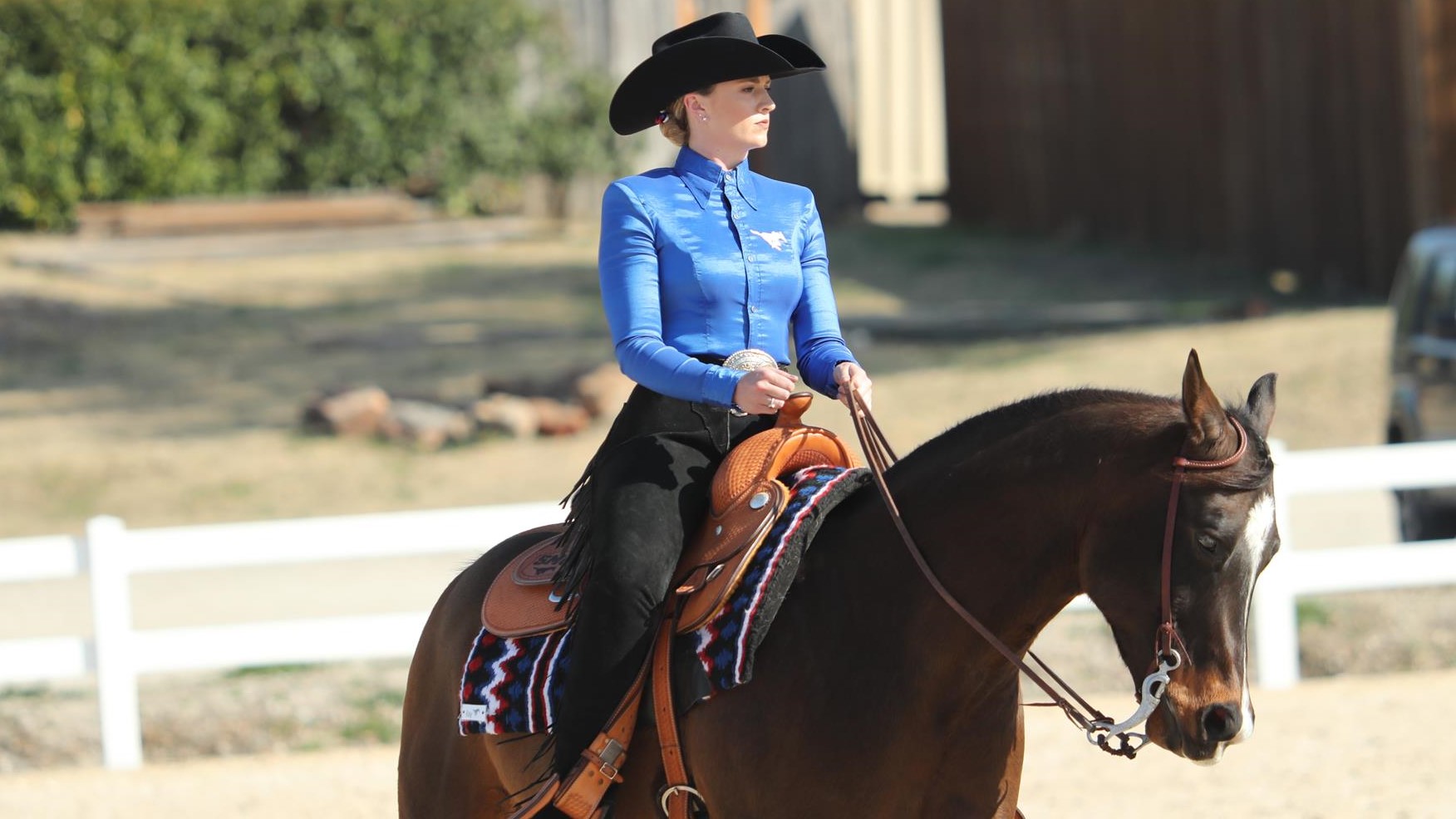 Morgan Redwine - Equestrian - SMU Athletics