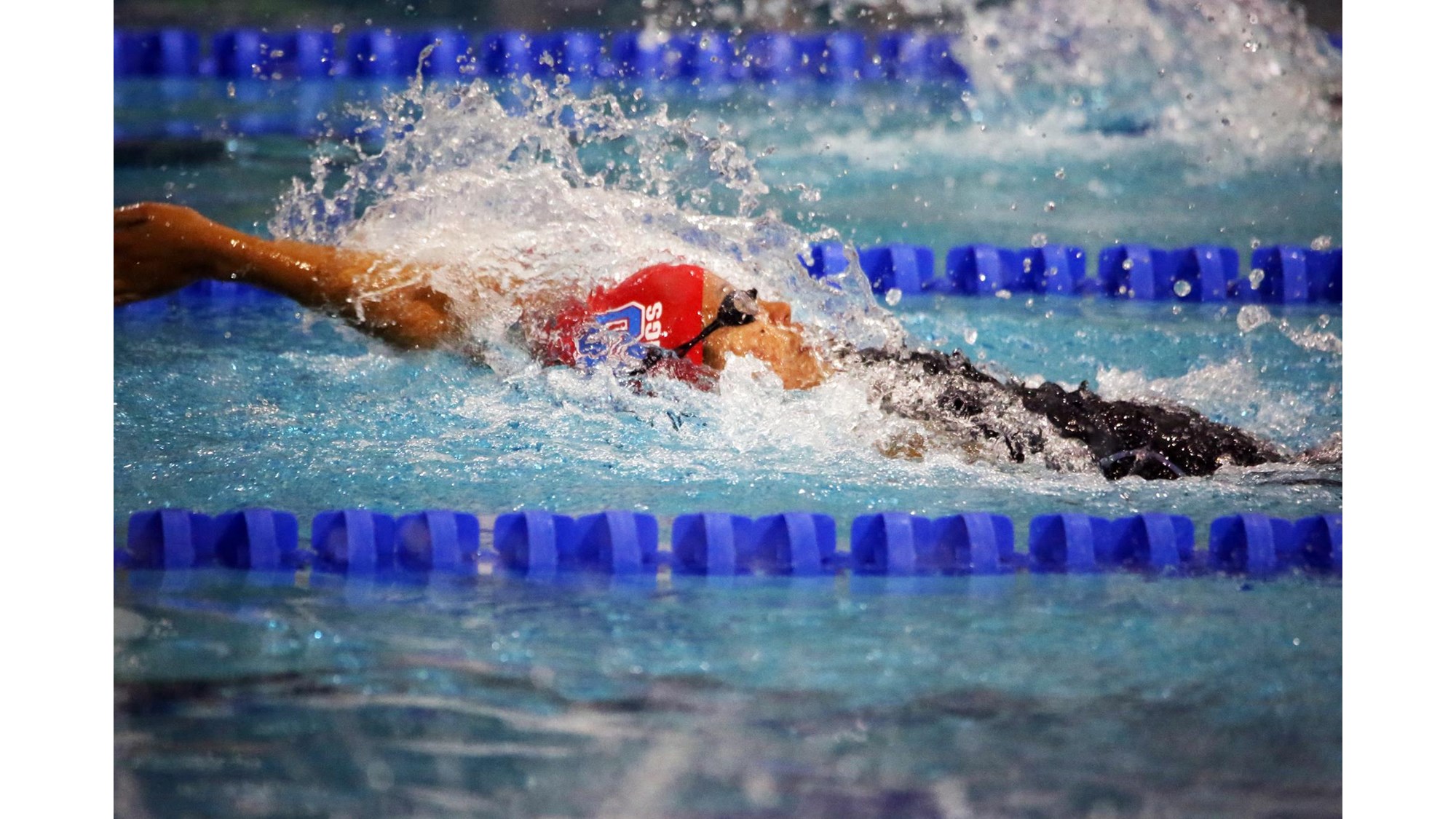 Felicity Passon - Women's Swimming & Diving - SMU Athletics
