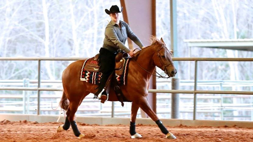 Madison Steed - Equestrian - SMU Athletics