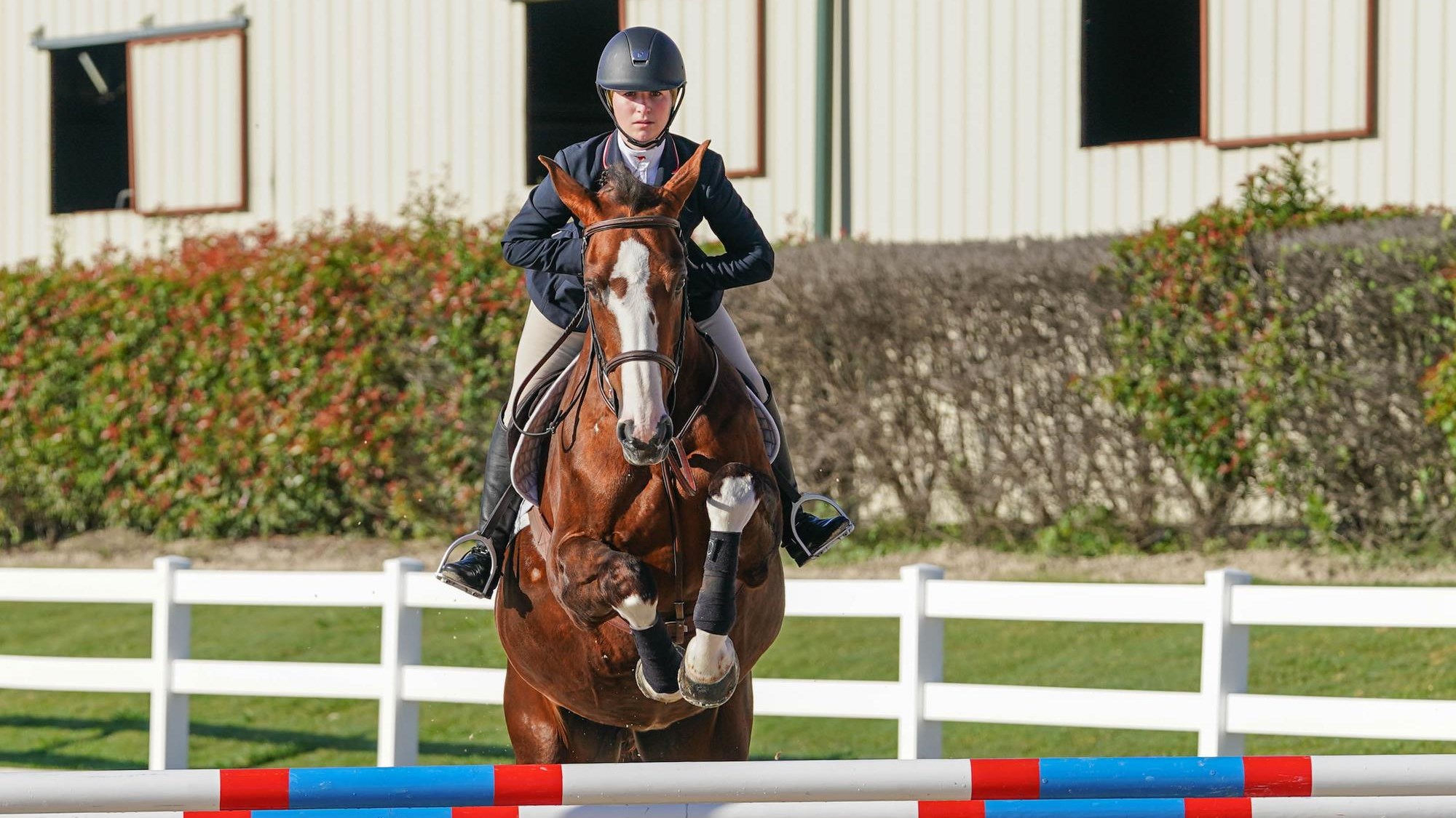 Alex Pielet - Equestrian - SMU Athletics