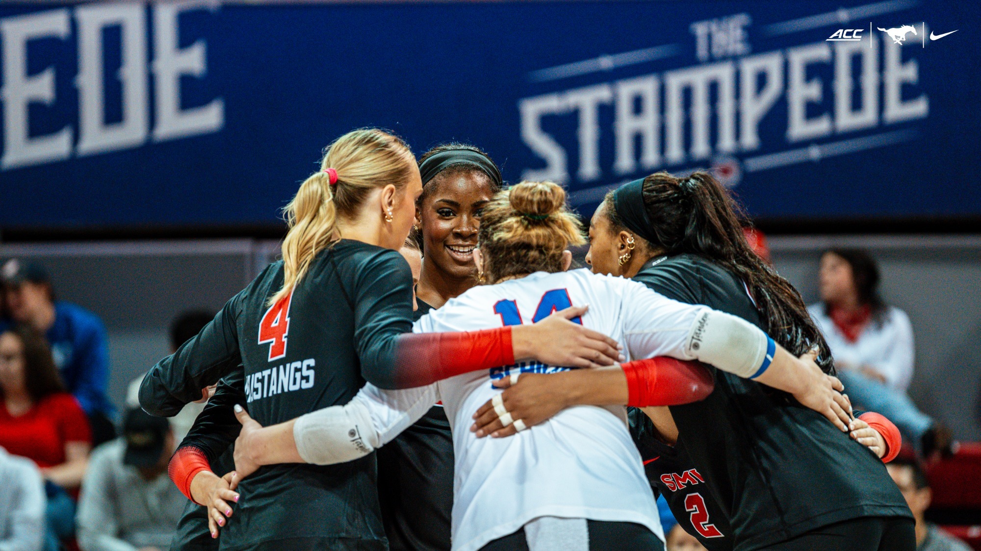 SMU Volleyball Releases Spring Schedule - SMU Athletics