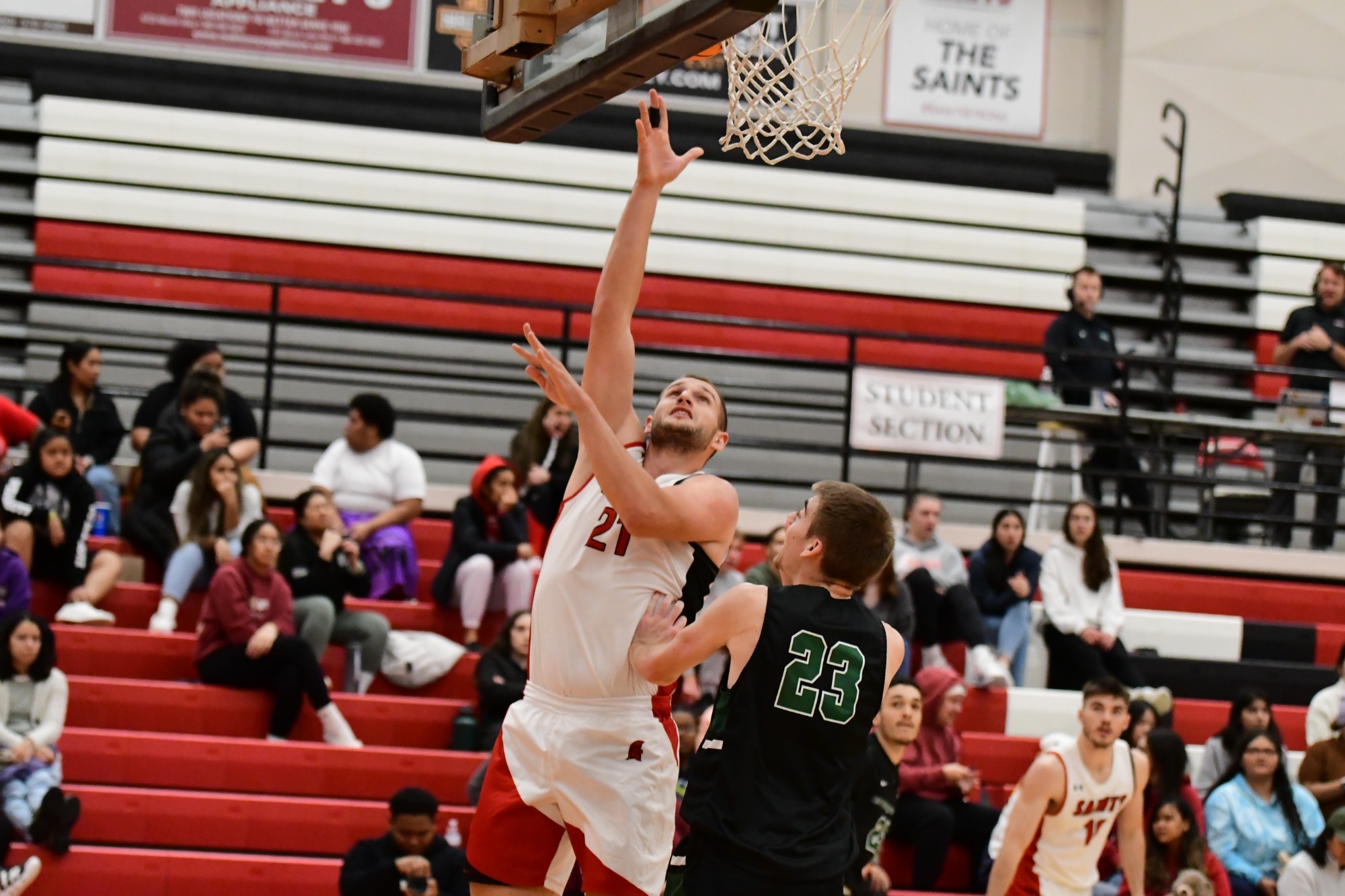 Veljko Ilic - Men's Basketball - Saint Martin's University Athletics