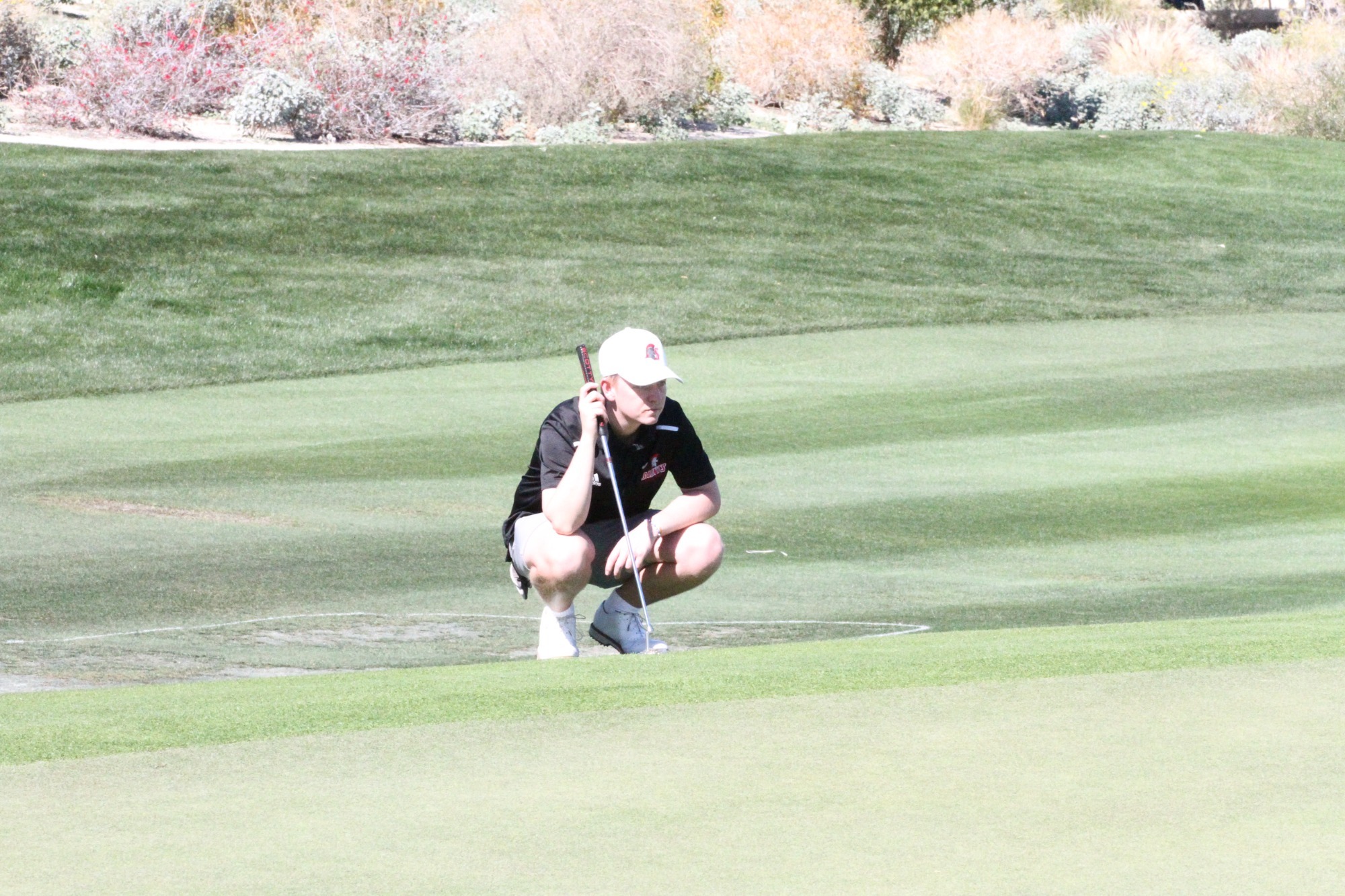 SMU Announces New Men’s Golf Leadership - Saint Martin's University ...