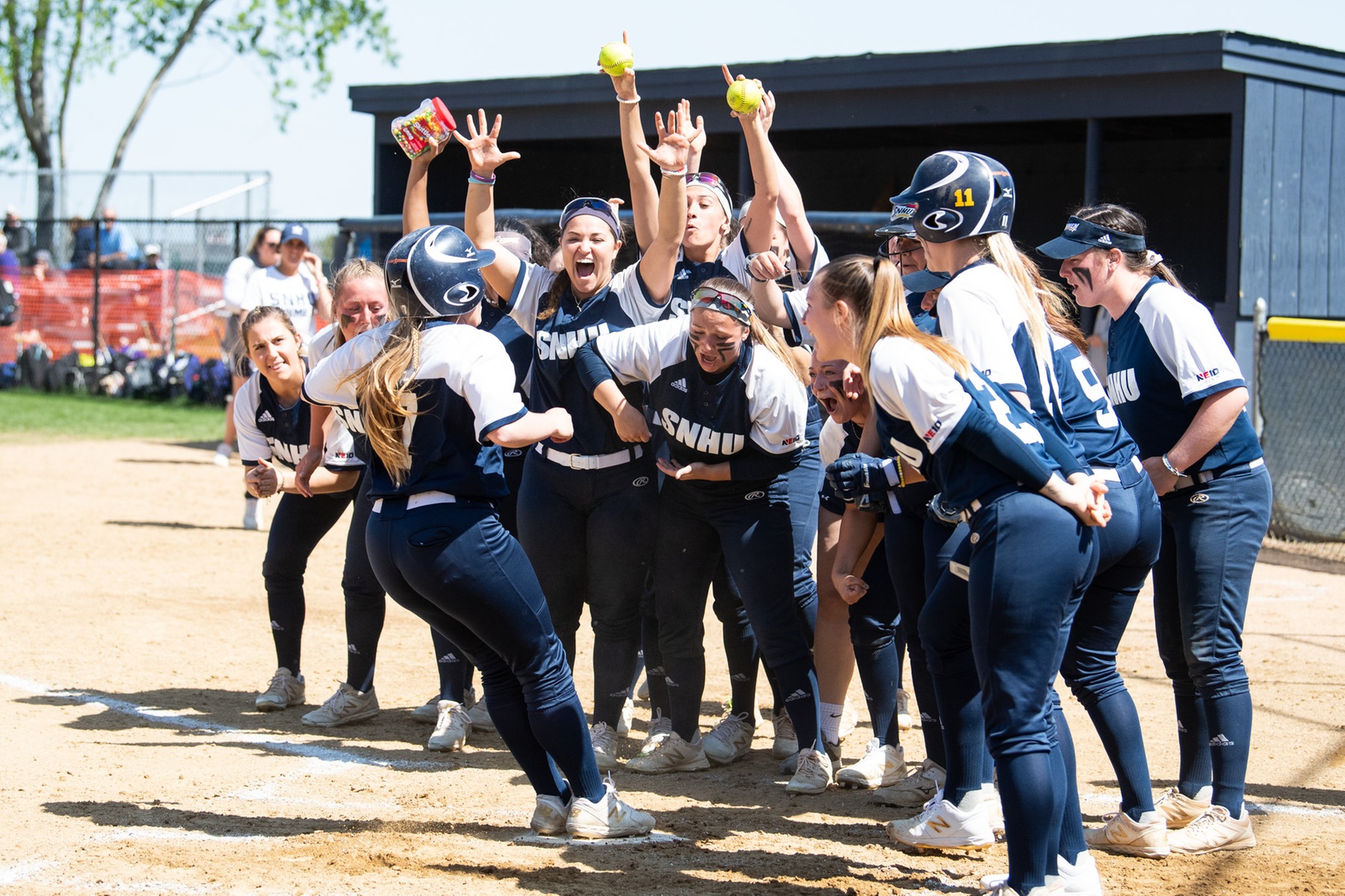 Softball Sinks Georgian Court 4-2 In NCAA East Regional Opener ...