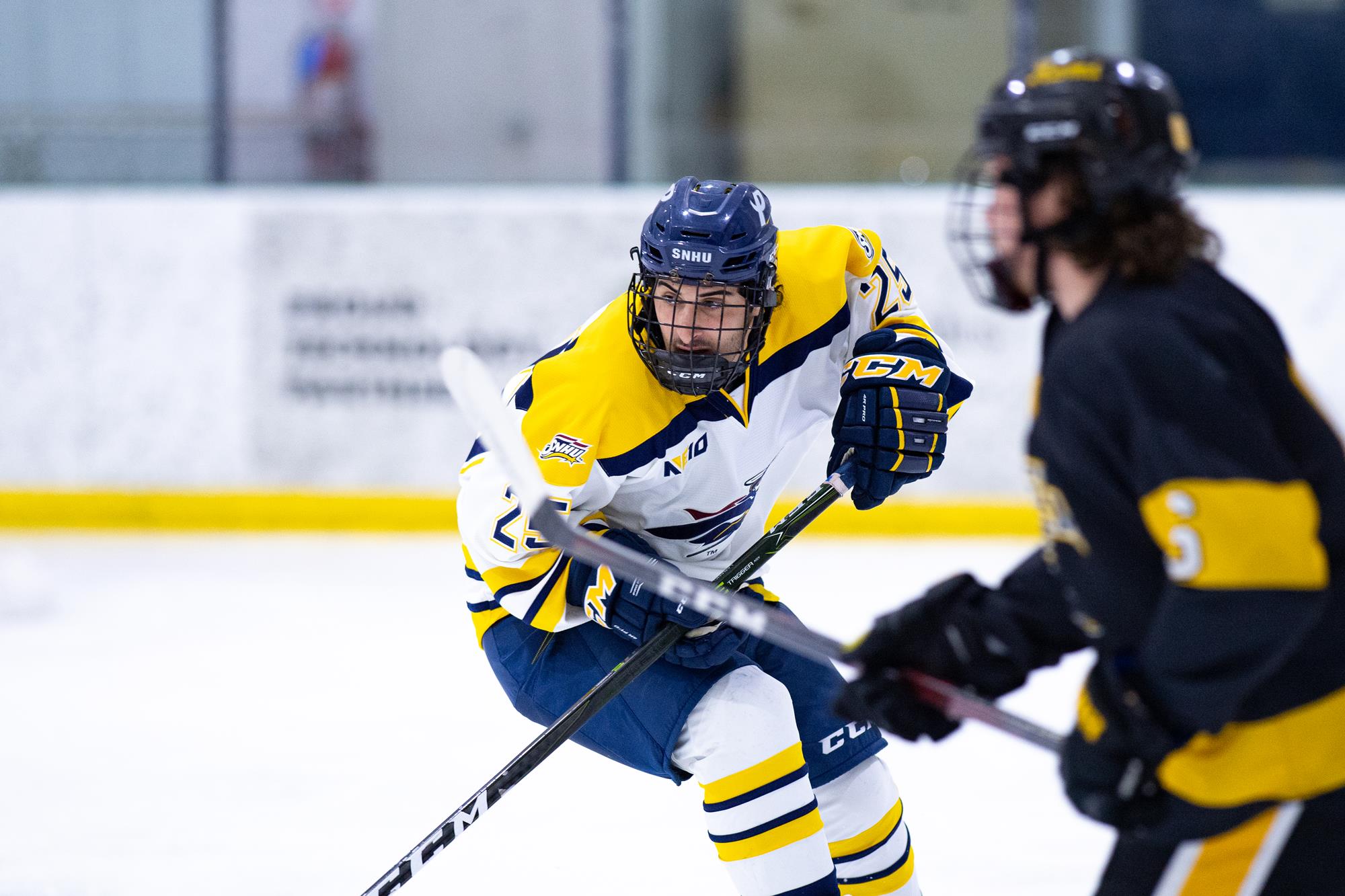 Ice Hockey Beats Post 3-1 for Fourth Straight Win - Southern New ...