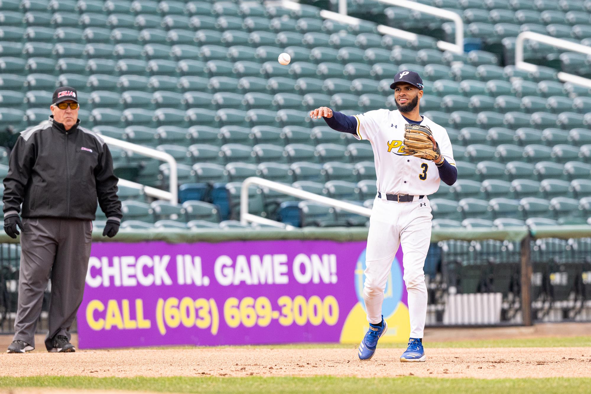 #8 SNHU Baseball Walks-Off Adelphi 5-4 in NE10 Championship - Southern ...