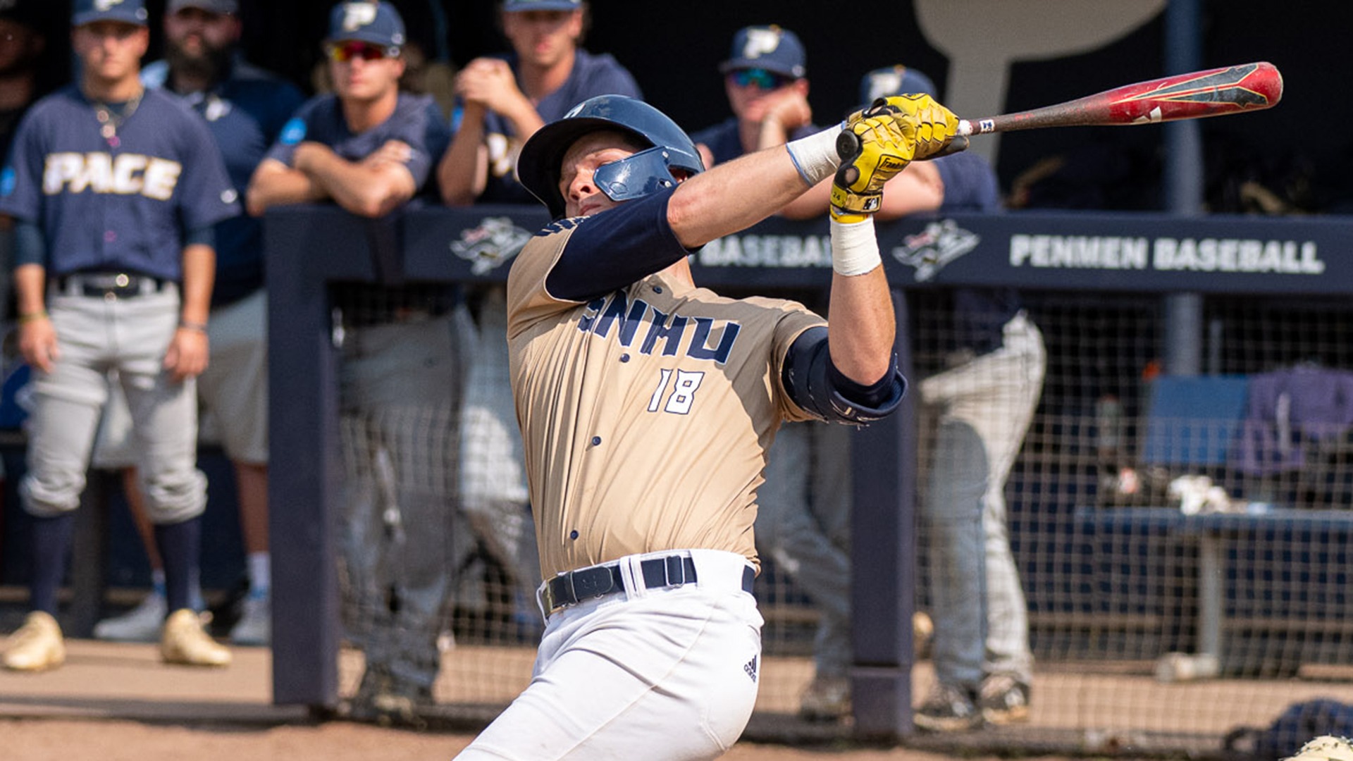 #10/22 Baseball Defeats Pace Twice to Punch Ticket to NCAA East Super ...