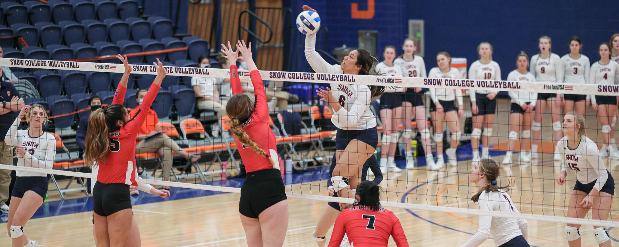 Bridgett Talia - 2020 - Women's Volleyball - Snow College Athletics